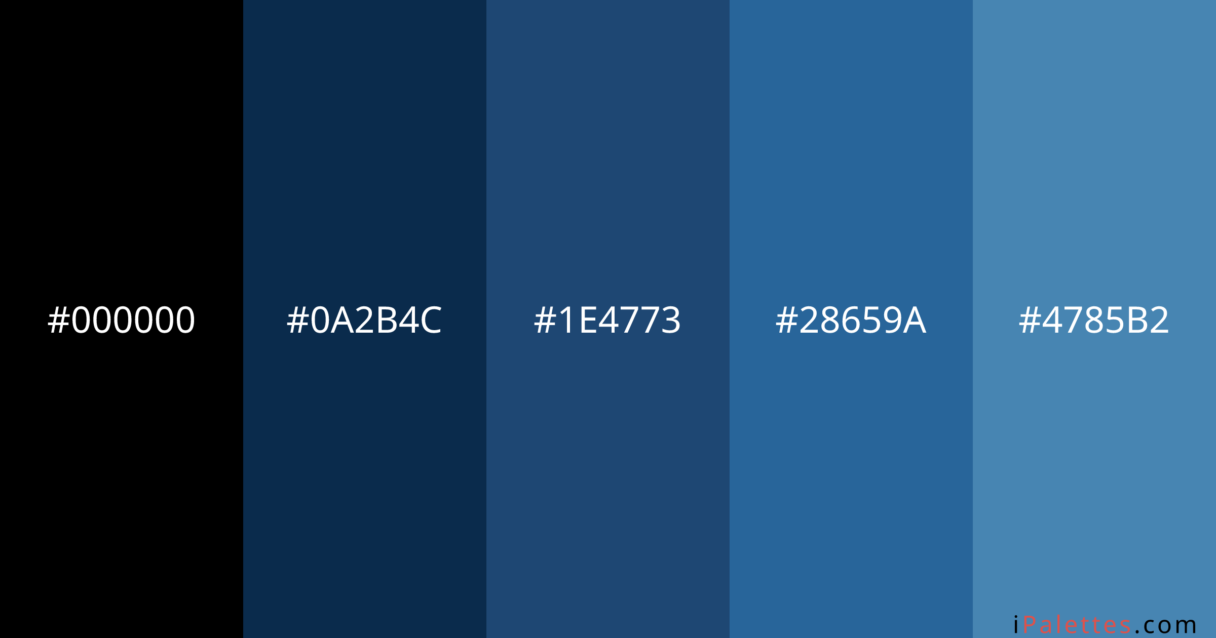 Blue black Color Palette and colors #000000 #0A2B4C #1E4773 #28659A ...