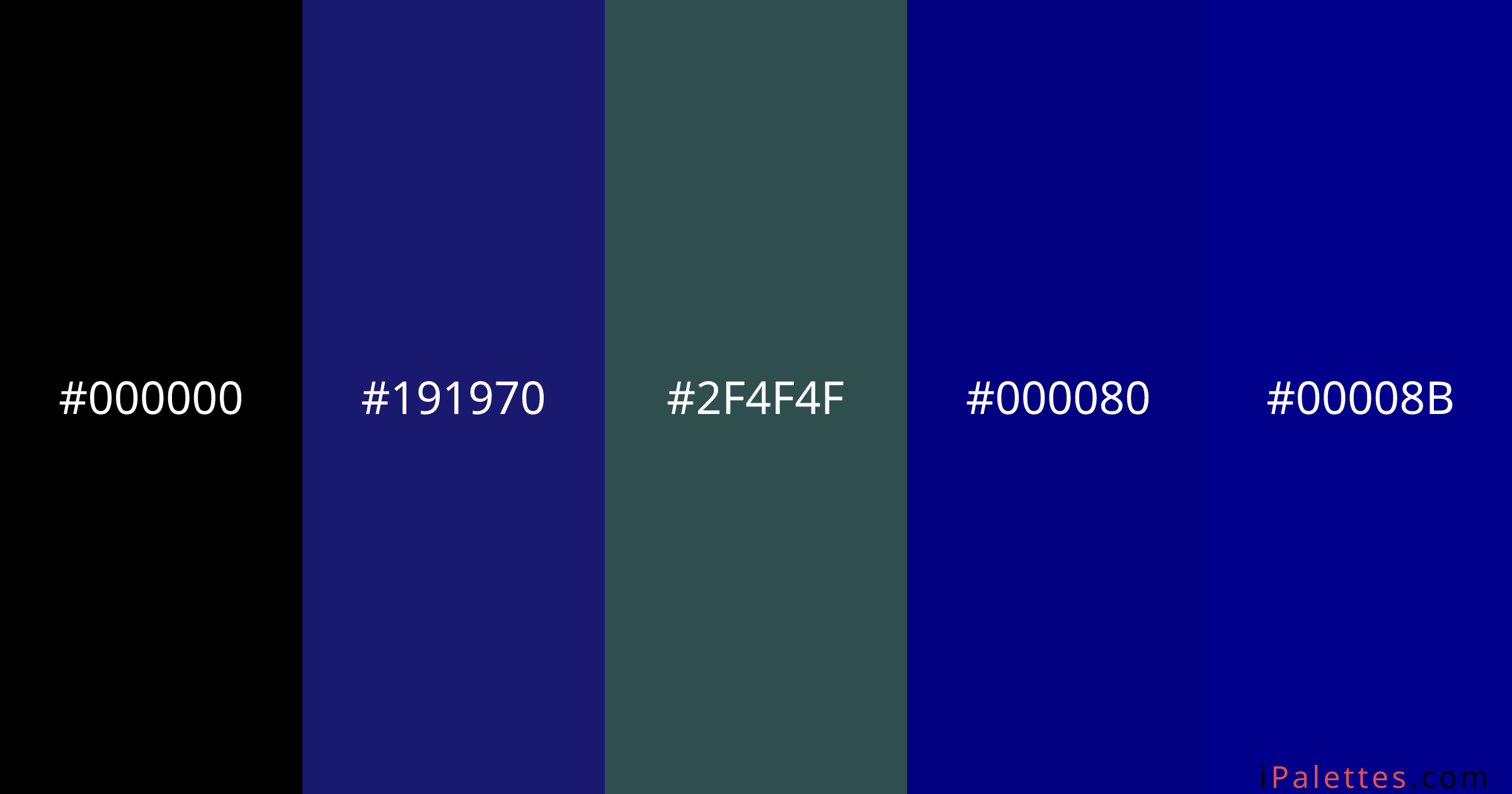 Night Color Palette and colors #000000 #191970 #2F4F4F #000080 #00008B ...