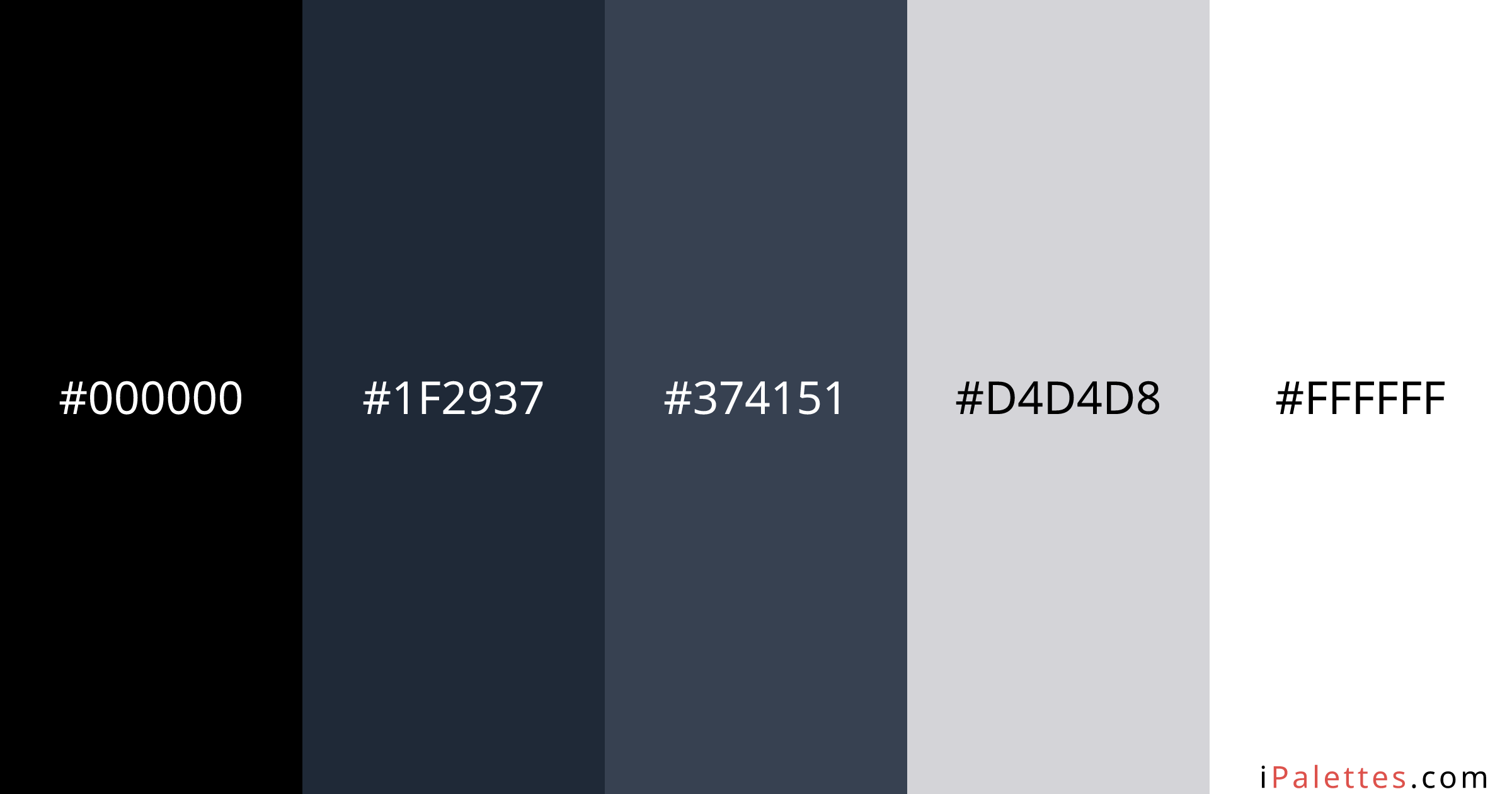 Black and white Color Palette and colors #000000 #1F2937 #374151 # ...
