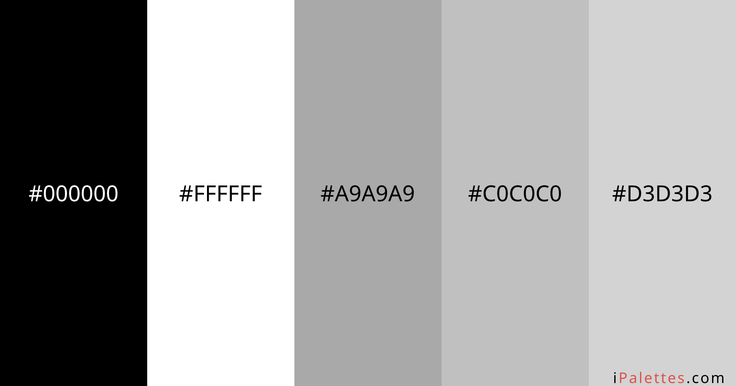 Color Palette Book Color Palette and colors #000000 #FFFFFF #A9A9A9 # ...