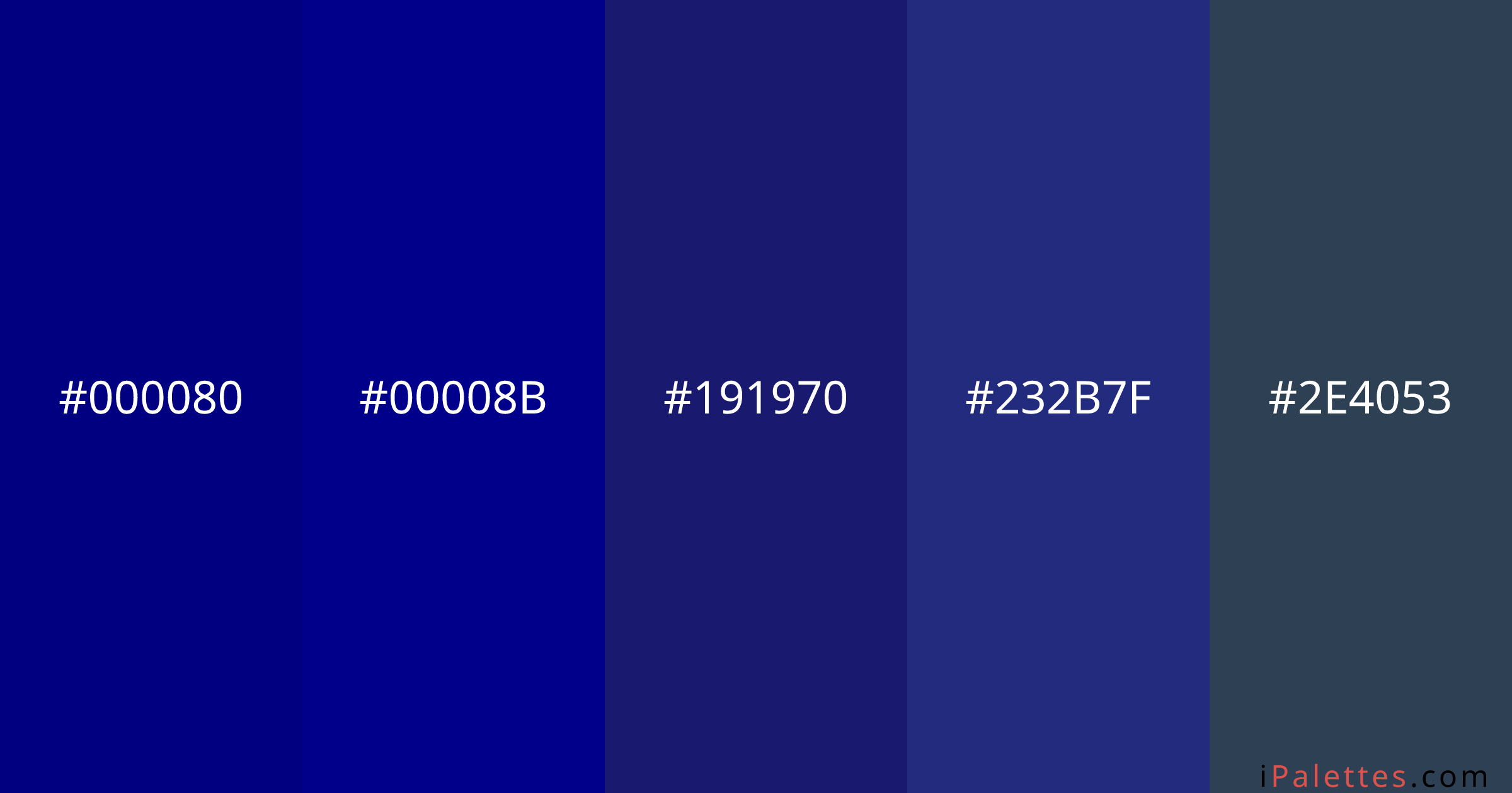 Navy Color Palette and colors #000080 #00008B #191970 #232B7F #2E4053 ...