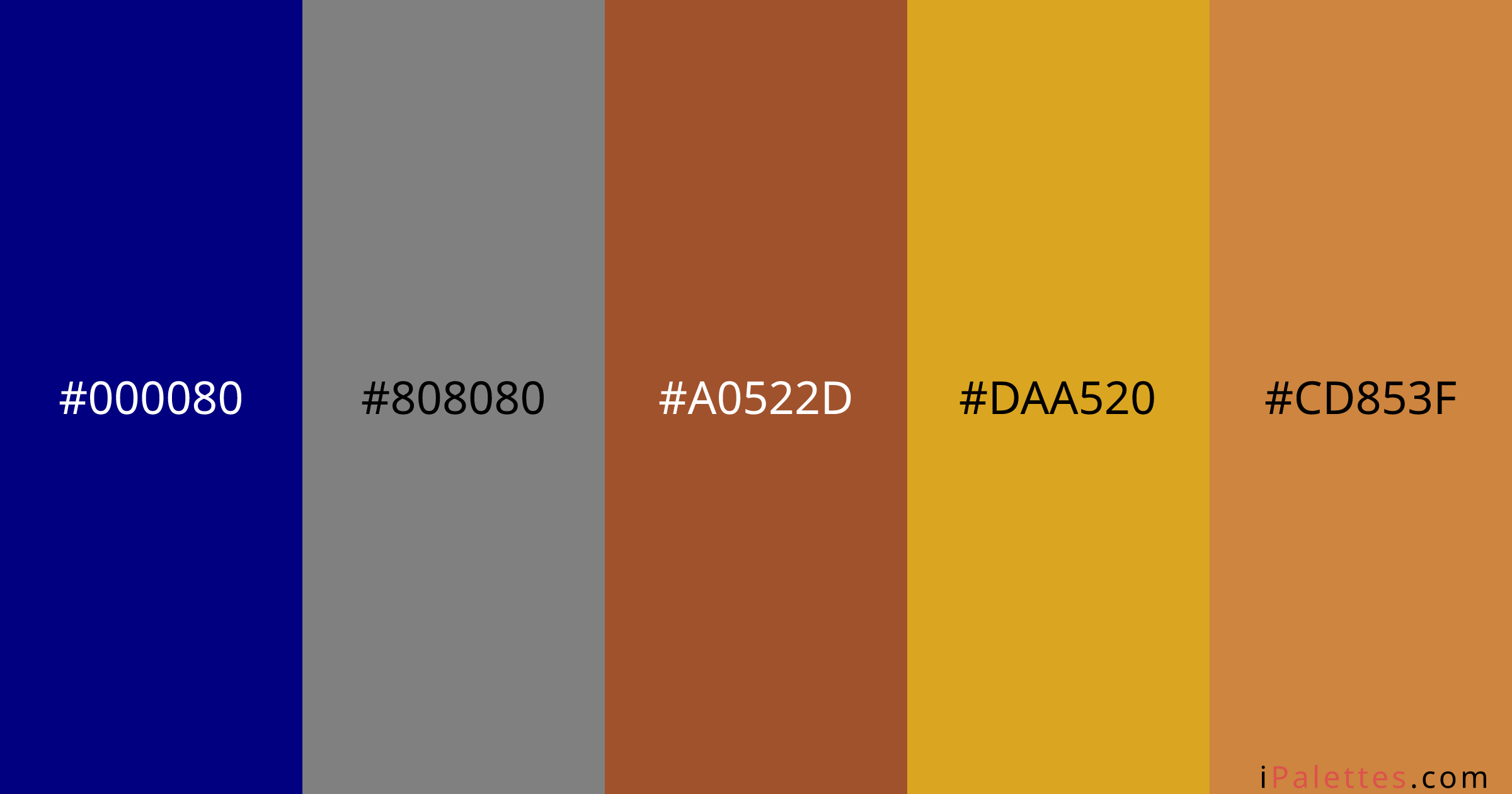 Pirate Color Palette and colors #000080 #808080 #A0522D #DAA520 #CD853F ...