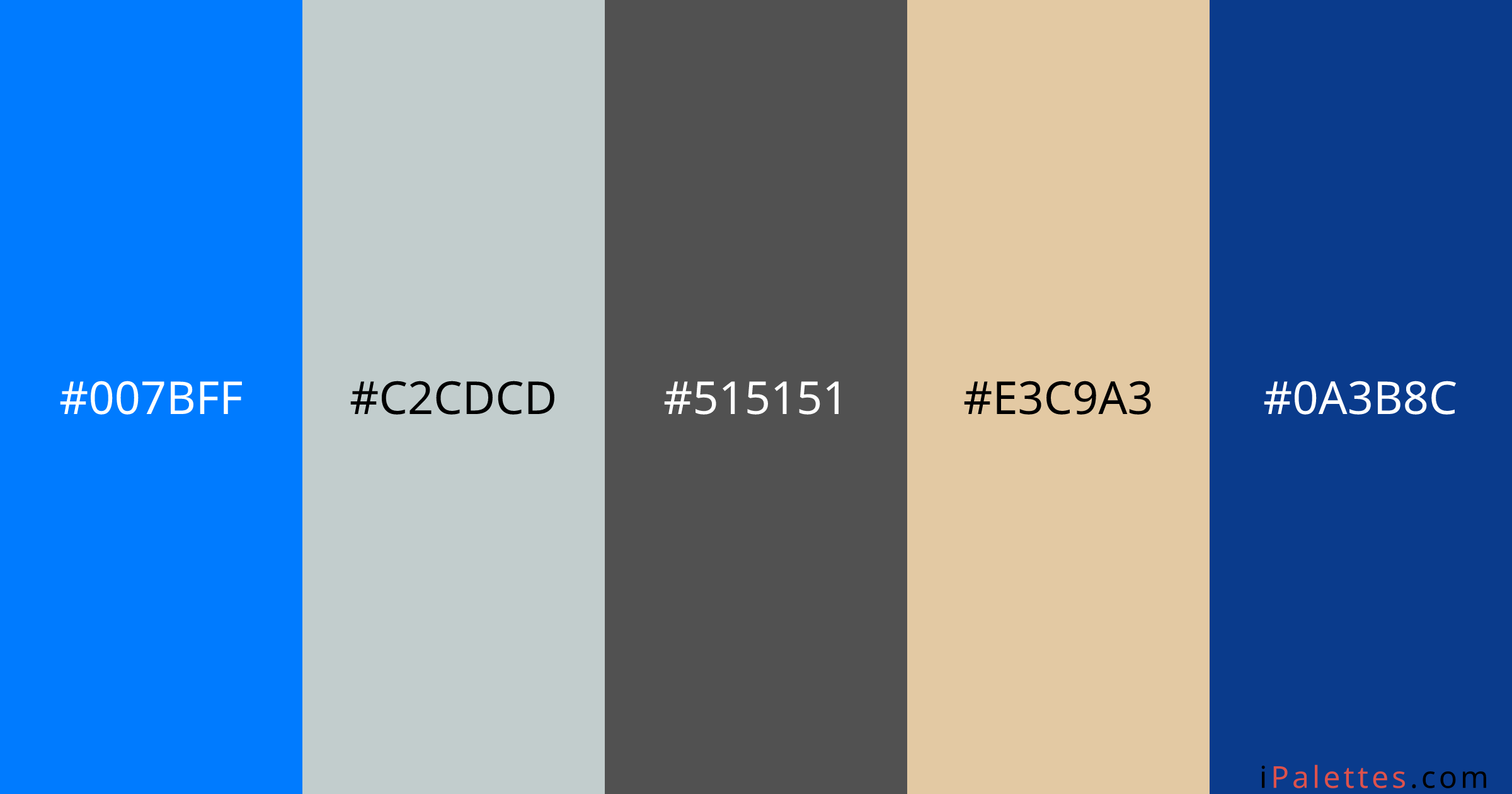 Sport winter Color Palette and colors #007bff #c2cdcd #515151 #e3c9a3 ...