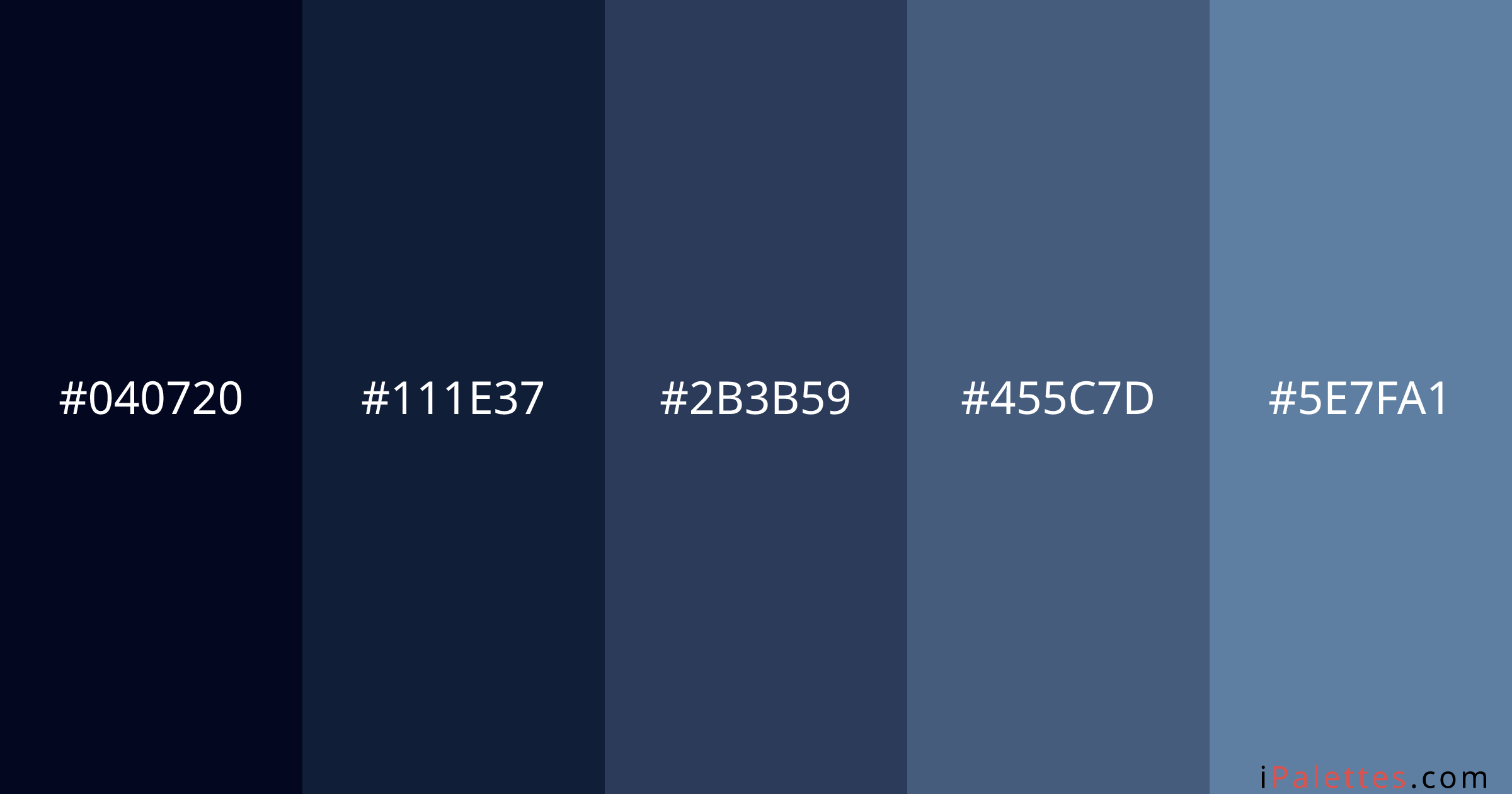 Space Color Palette and colors #040720 #111E37 #2B3B59 #455C7D #5E7FA1 ...