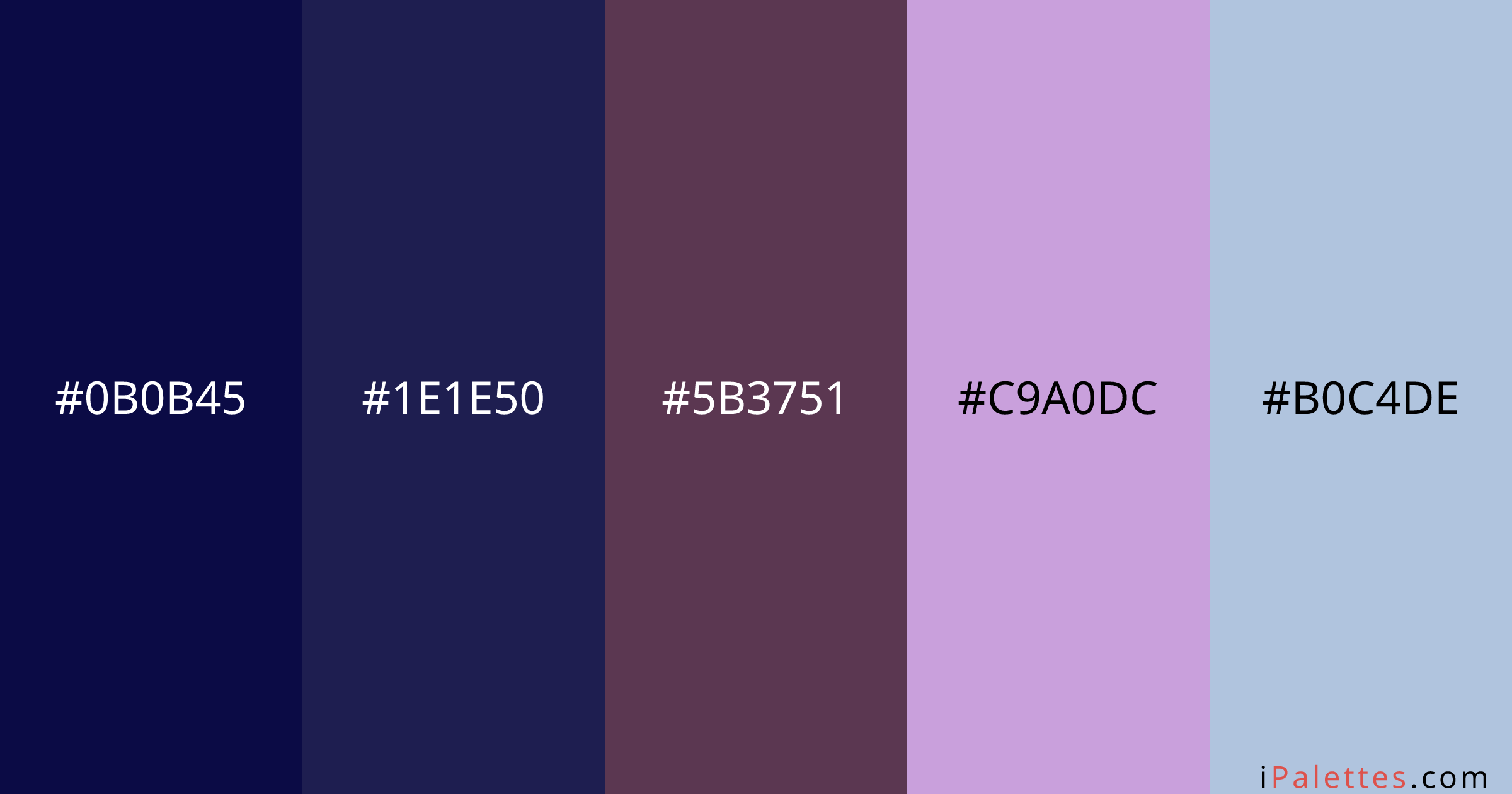 Space Color Palette and colors #0B0B45 #1E1E50 #5B3751 #C9A0DC #B0C4DE ...