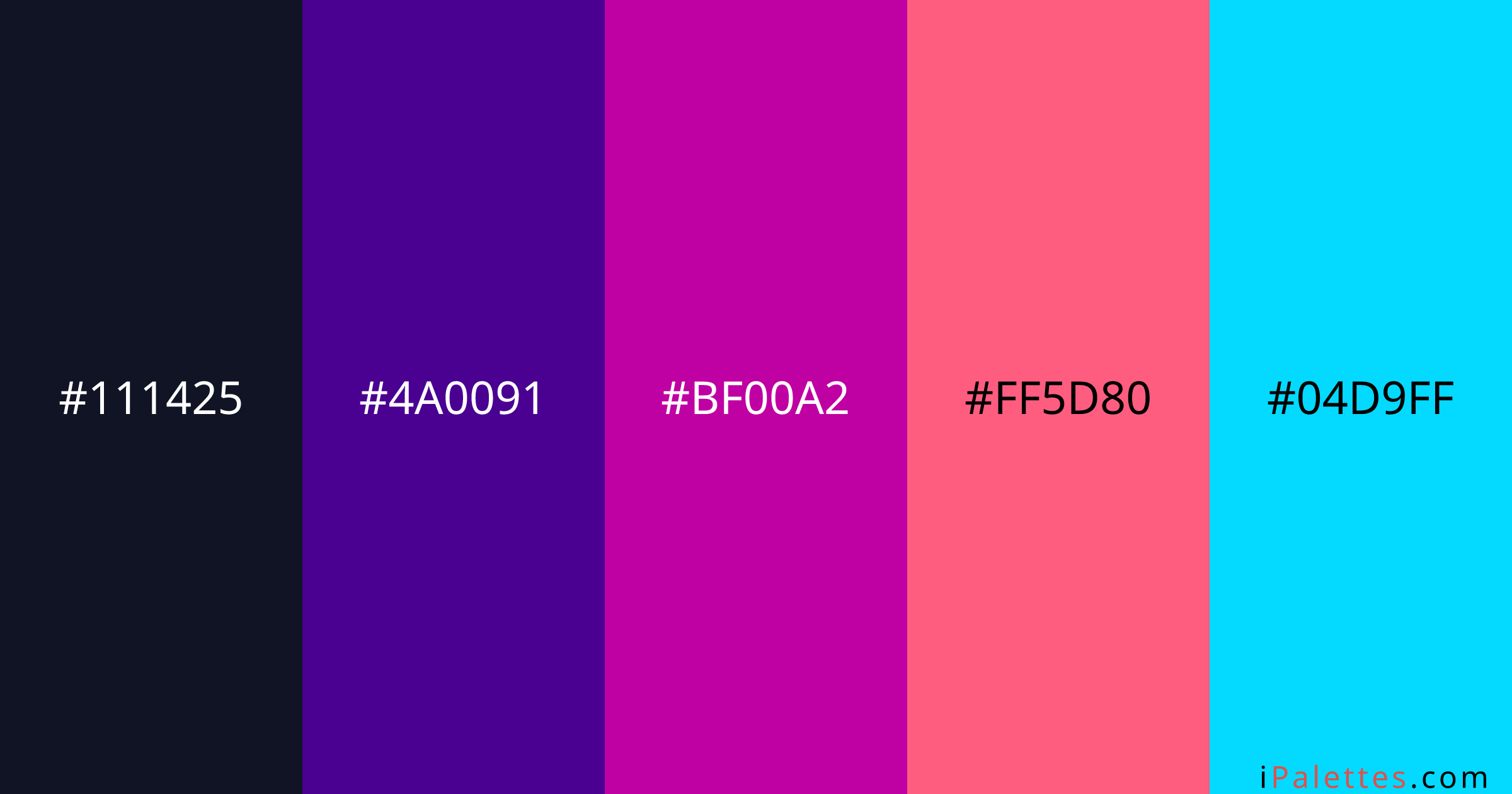 Cyberpunk Color Palette and colors #111425 #4A0091 #BF00A2 #FF5D80 ...