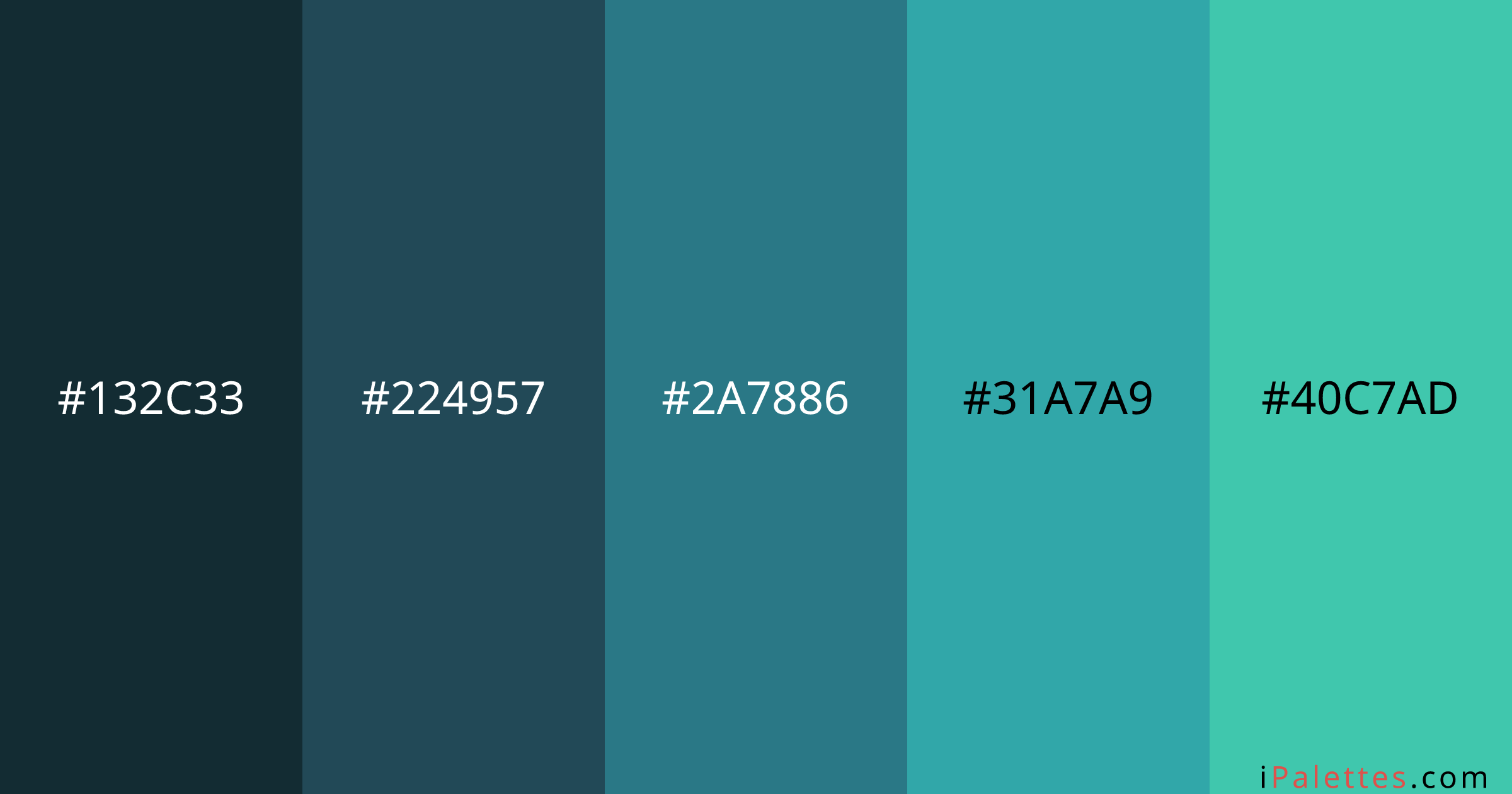 Technology Color Palette and colors #132C33 #224957 #2A7886 #31A7A9 ...