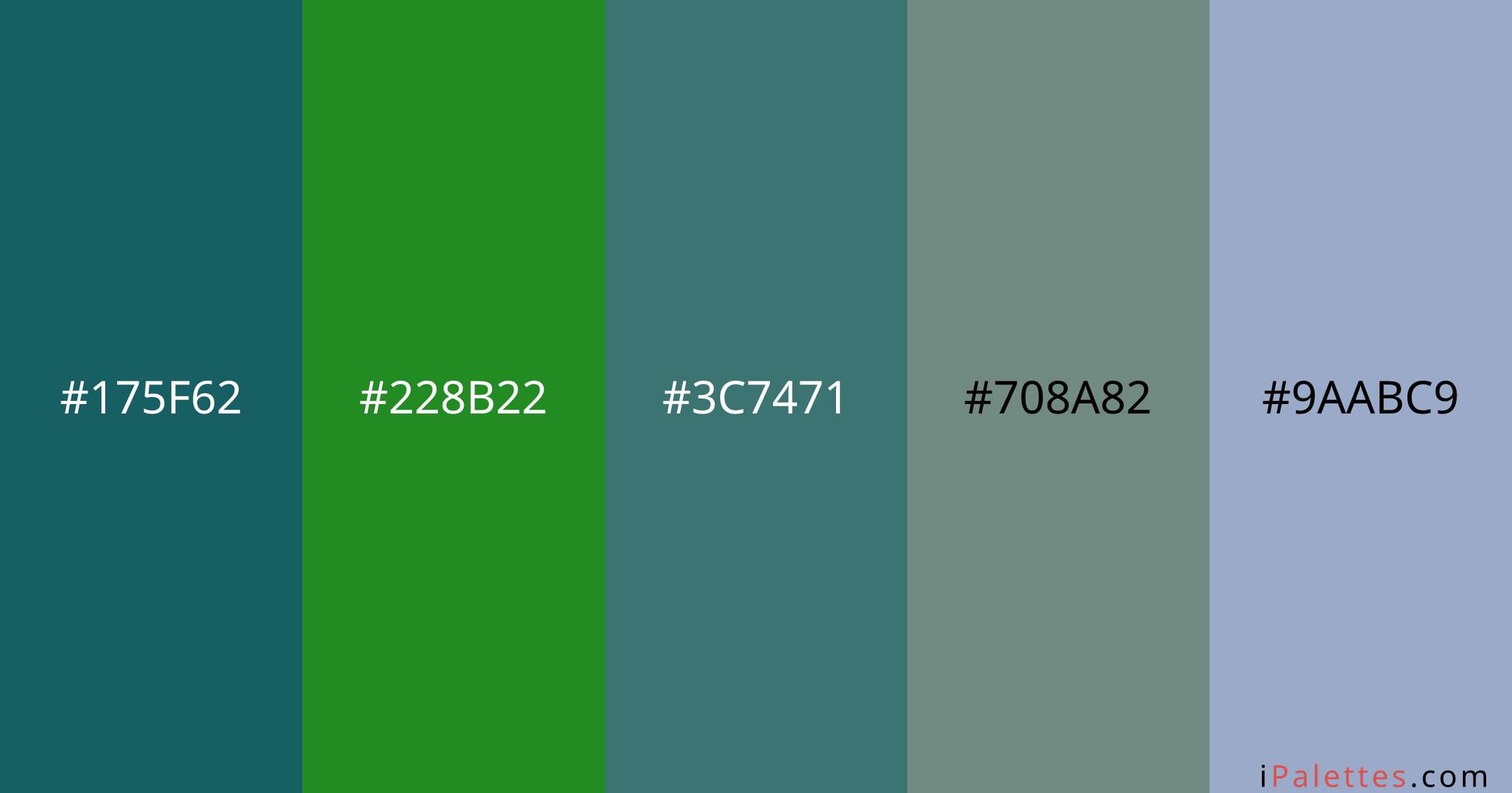175f62 Color Palette and colors #175f62 #228b22 #3c7471 #708a82 #9aabc9 ...