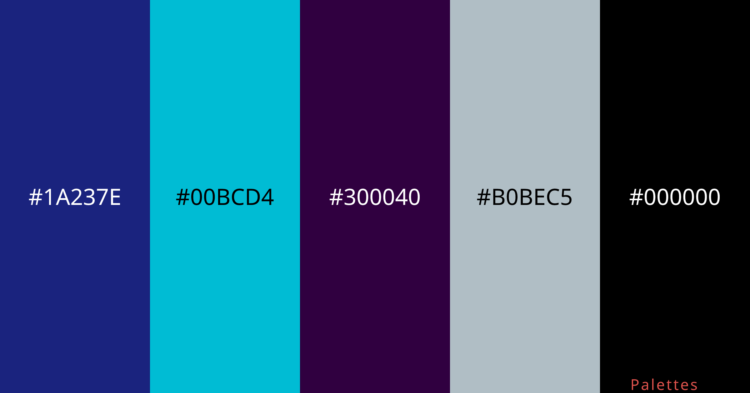 Jetragon Color Palette and colors #1A237E #00BCD4 #300040 #B0BEC5 ...