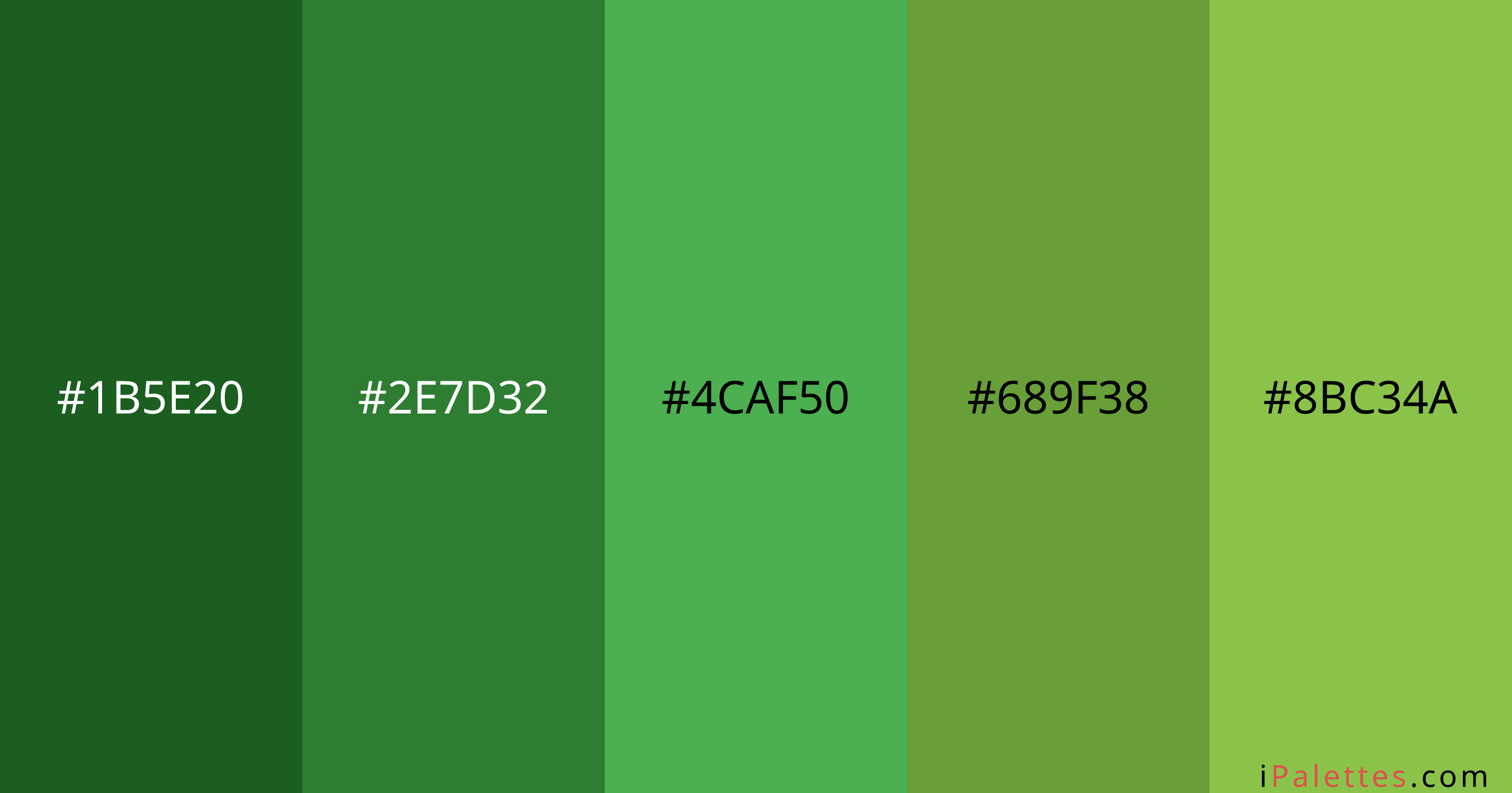 Christmas Tree Color Palette and colors #1B5E20 #2E7D32 #4CAF50 #689F38 ...