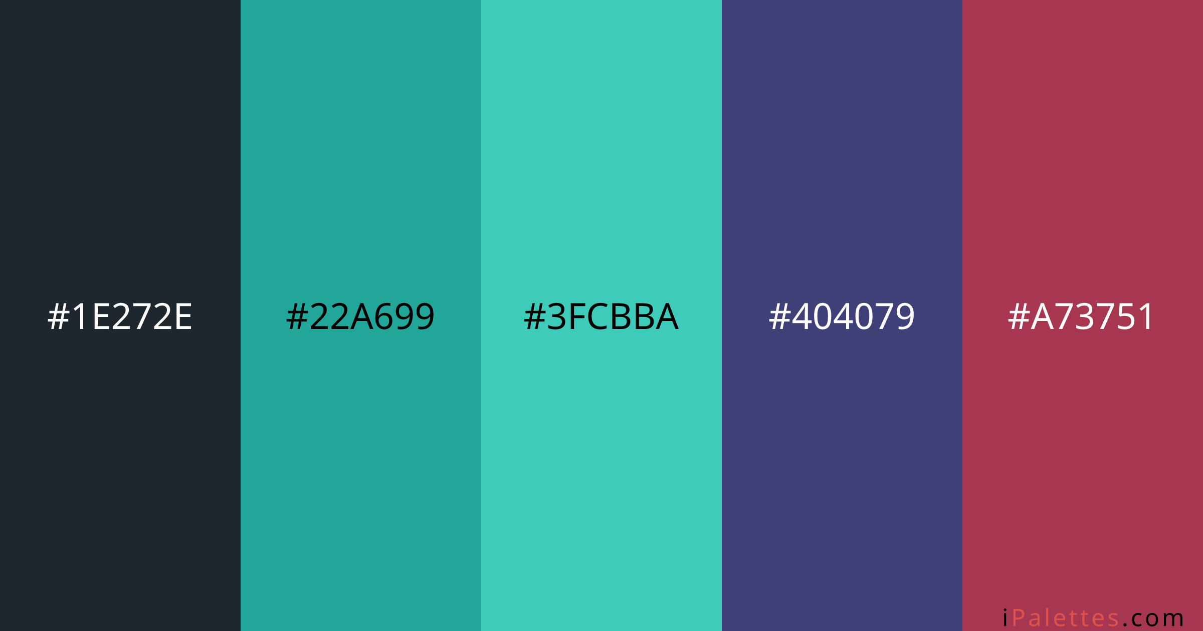Music Color Palette and colors #1E272E #22A699 #3FCBBA #404079 #A73751 ...