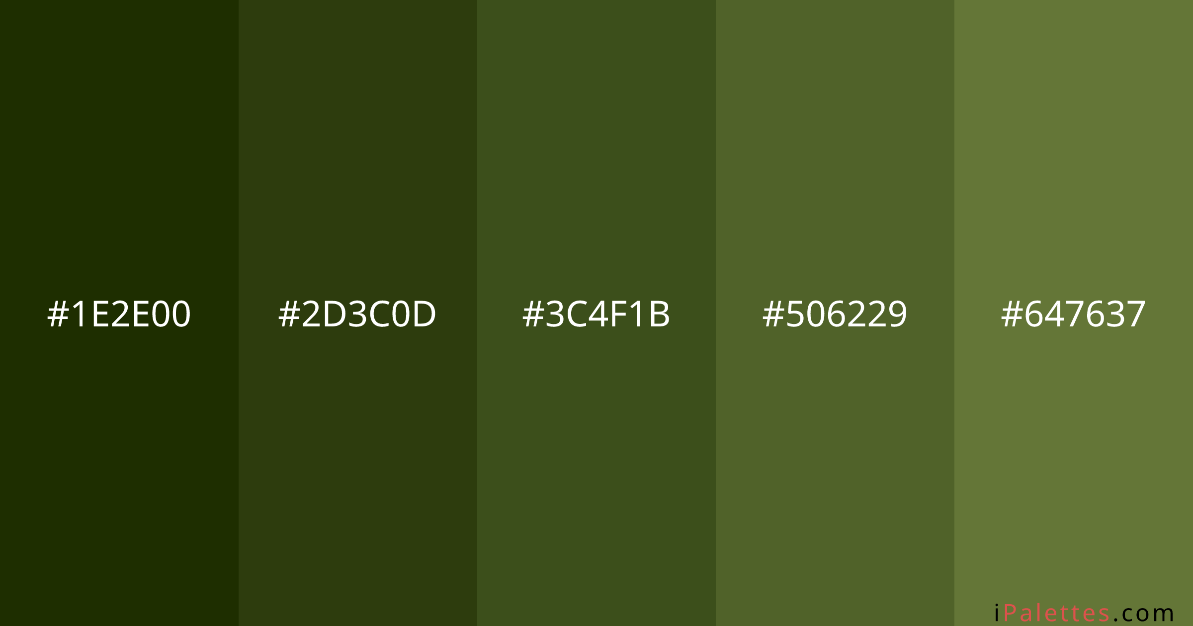 Swamp Color Palette and colors #1E2E00 #2D3C0D #3C4F1B #506229 #647637 ...
