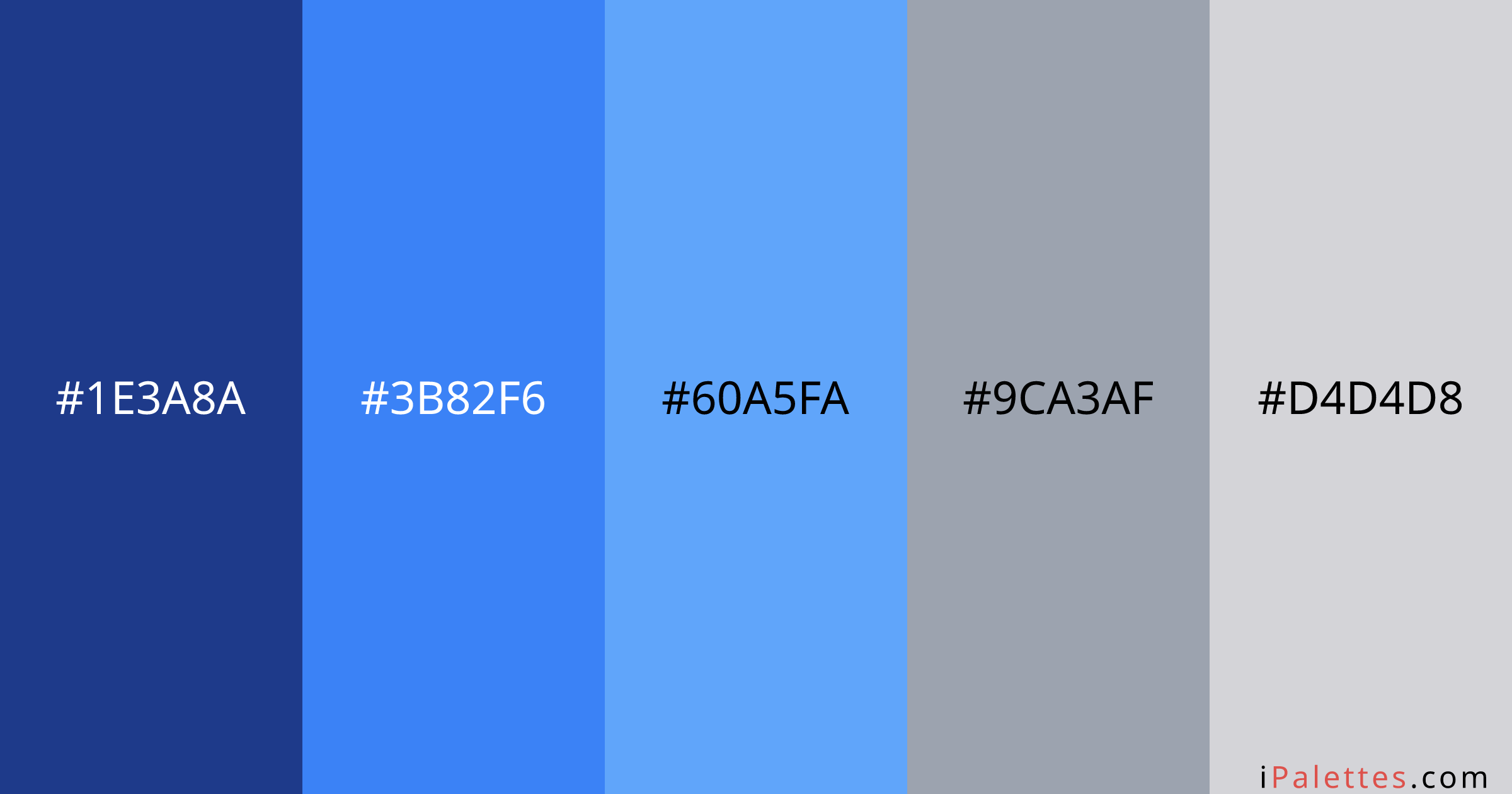 Blue and silver Color Palette and colors #1E3A8A #3B82F6 #60A5FA ...