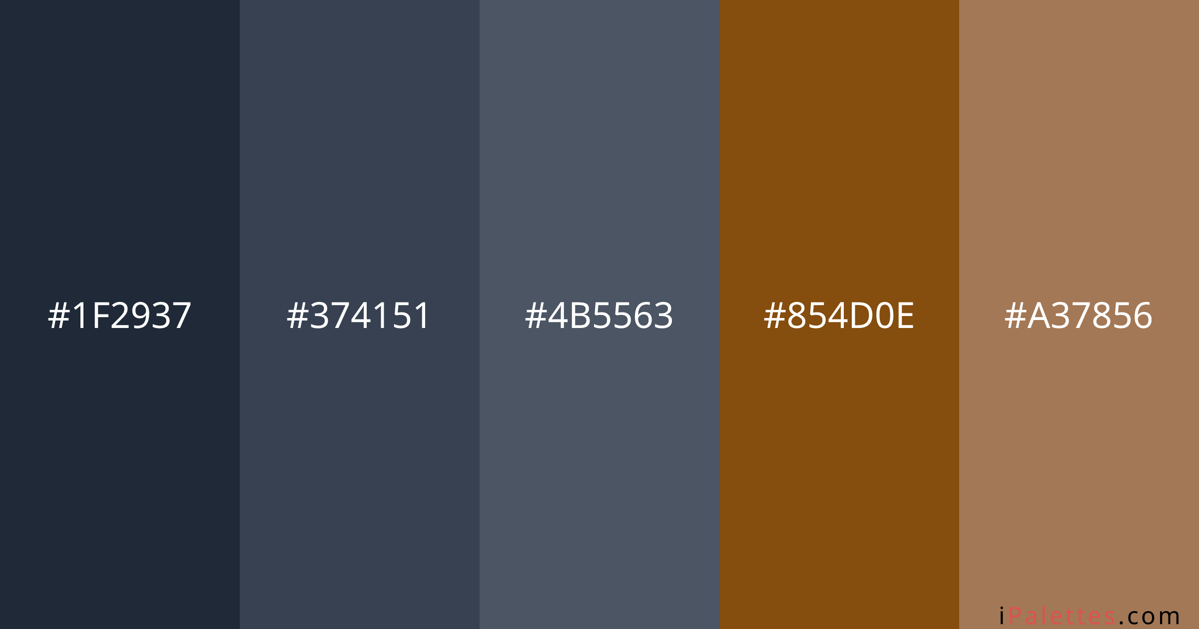 Boba fett Color Palette and colors #1F2937 #374151 #4B5563 #854D0E # ...