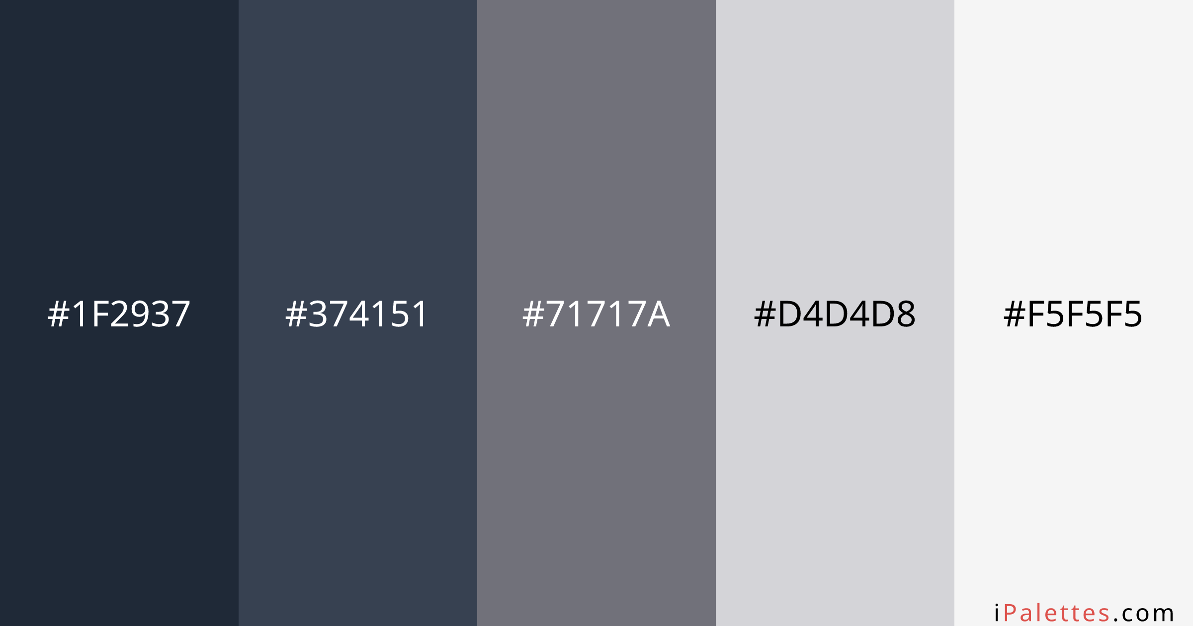 Luxury Color Palette and colors #1F2937 #374151 #71717A #D4D4D8 #F5F5F5 ...
