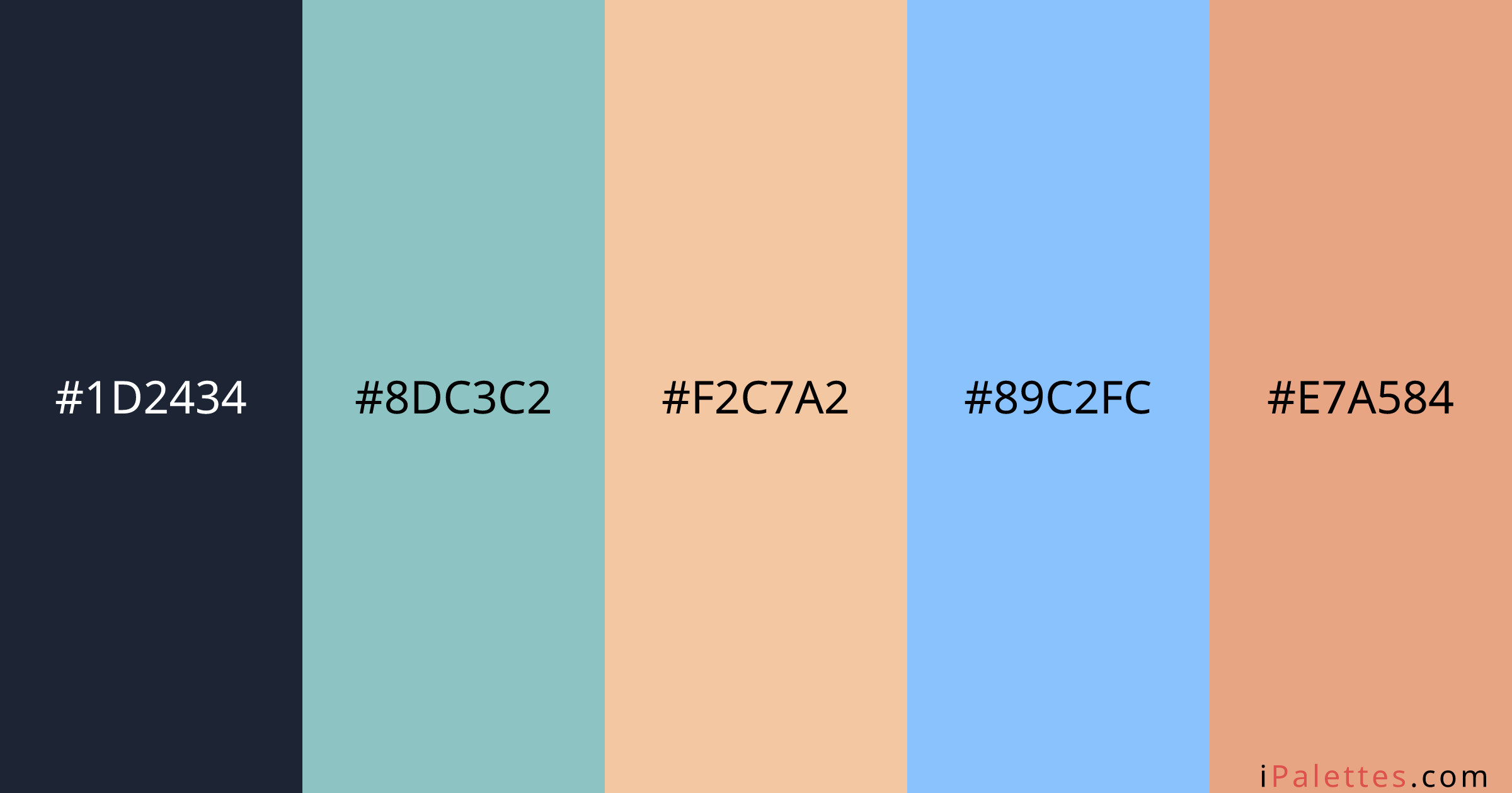 Astro Novalite Color Palette and colors #1d2434 #8dc3c2 #f2c7a2 #89c2fc ...