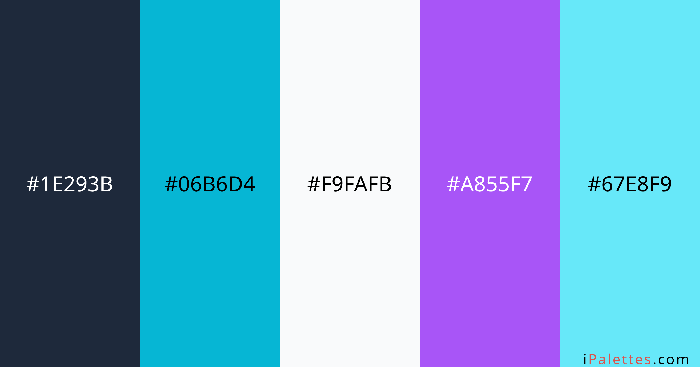 Tailwindcss Color Palette and colors #1e293b #06b6d4 #f9fafb #a855f7 ...