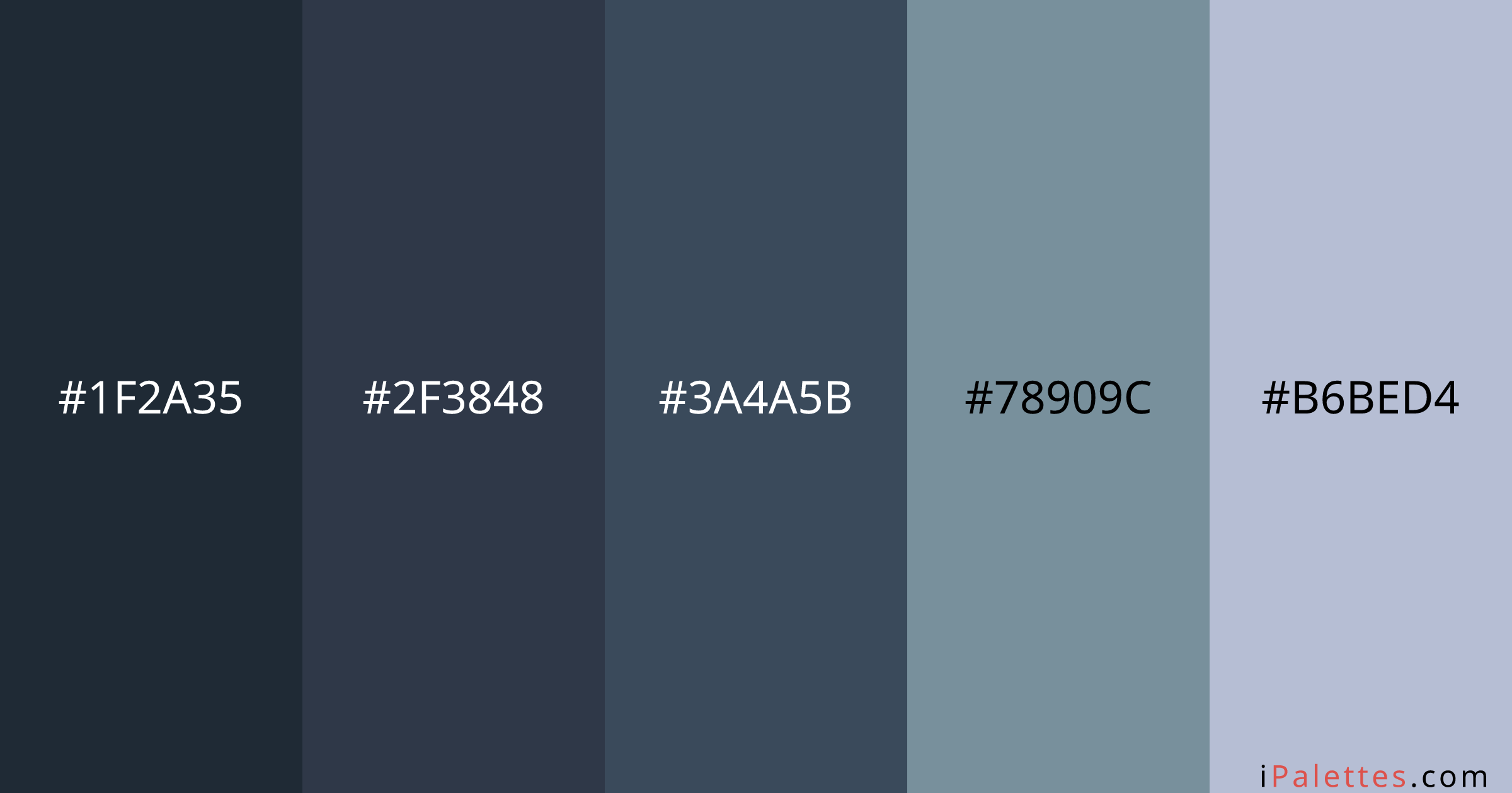 Night Color Palette and colors #1f2a35 #2f3848 #3a4a5b #78909c #b6bed4 ...