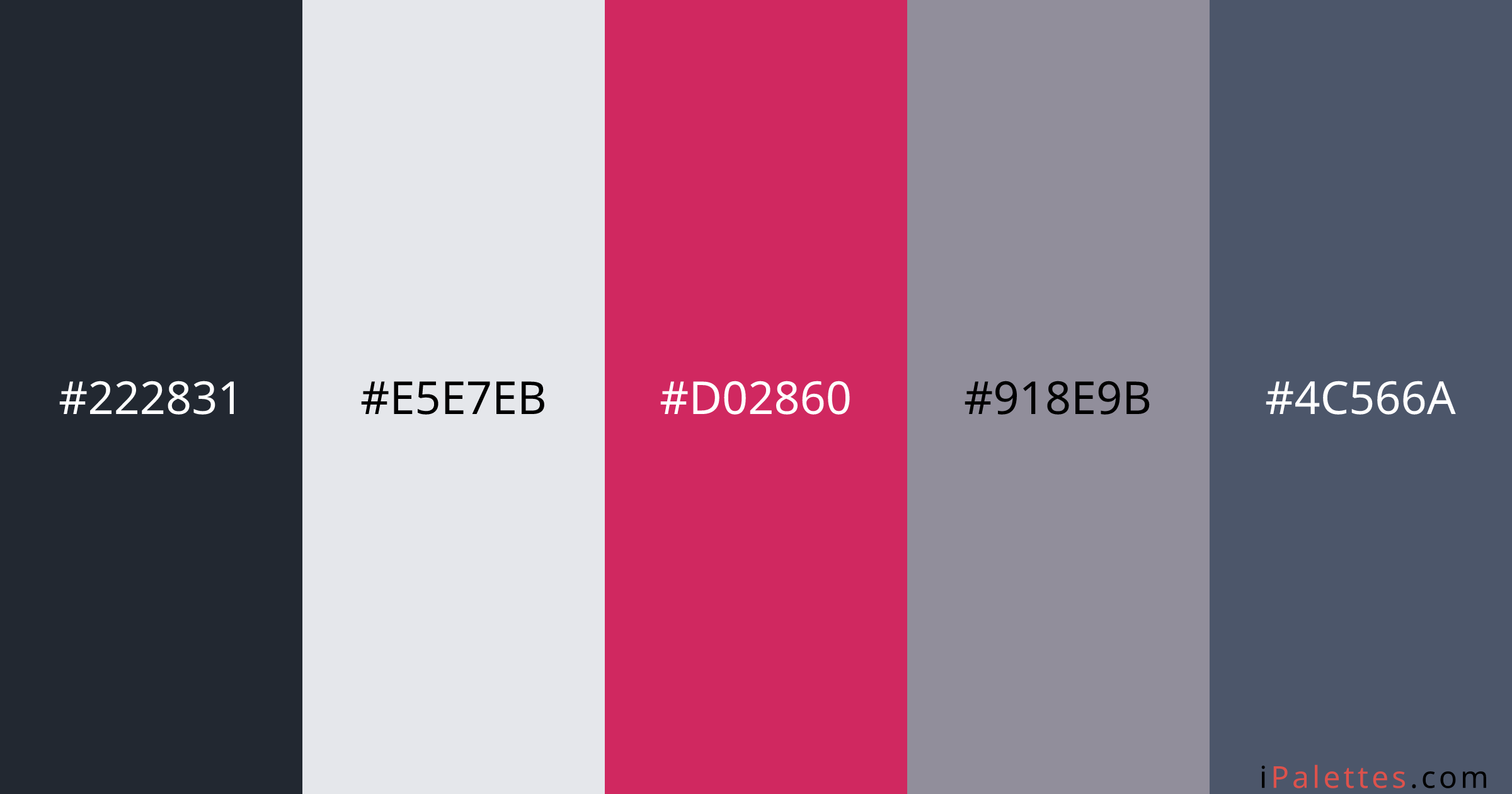 Nord Color Palette and colors #222831 #e5e7eb #d02860 #918e9b #4c566a ...