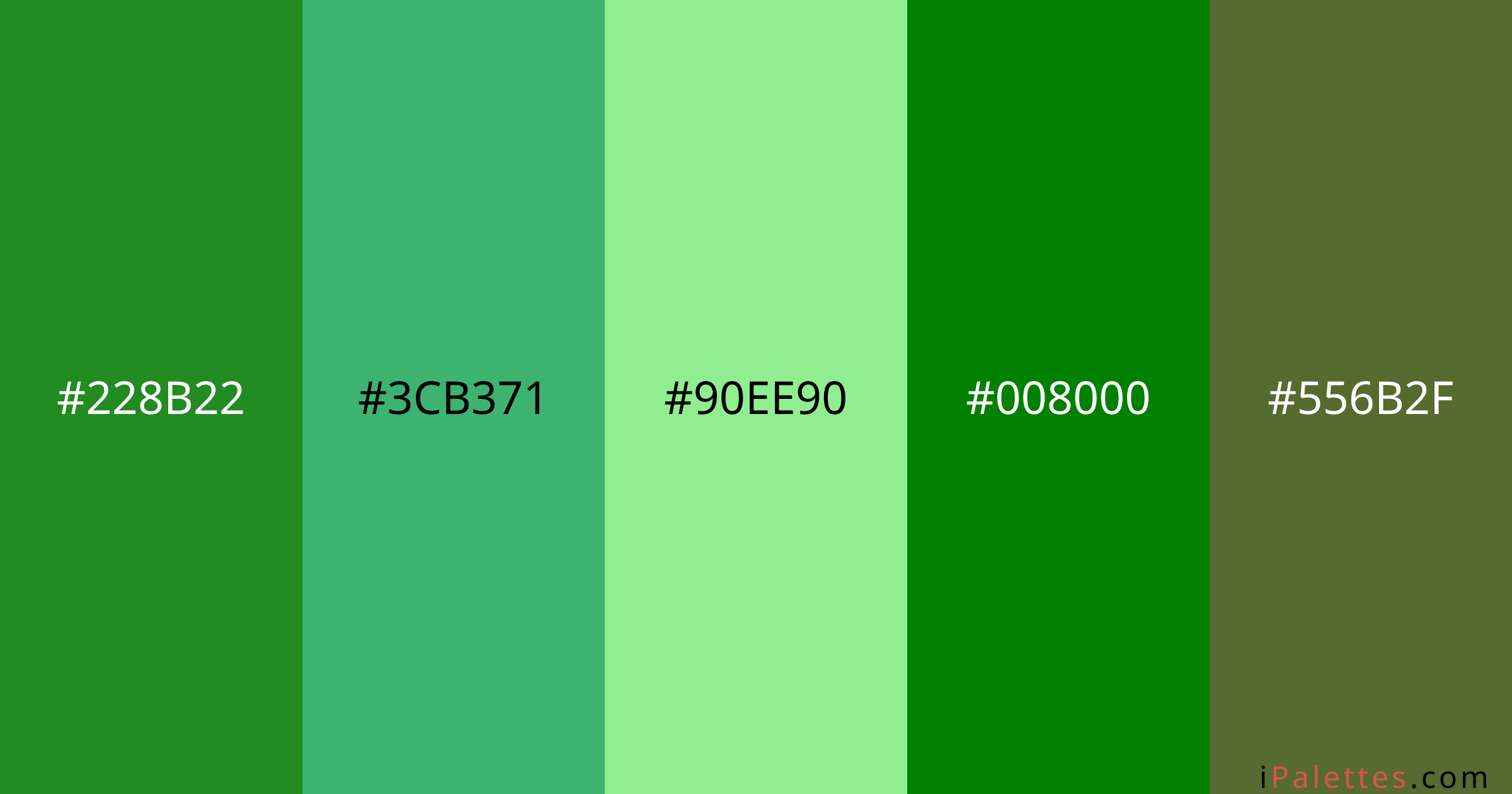 Forest Canopy Color Palette and colors #228B22 #3CB371 #90EE90 #008000 ...