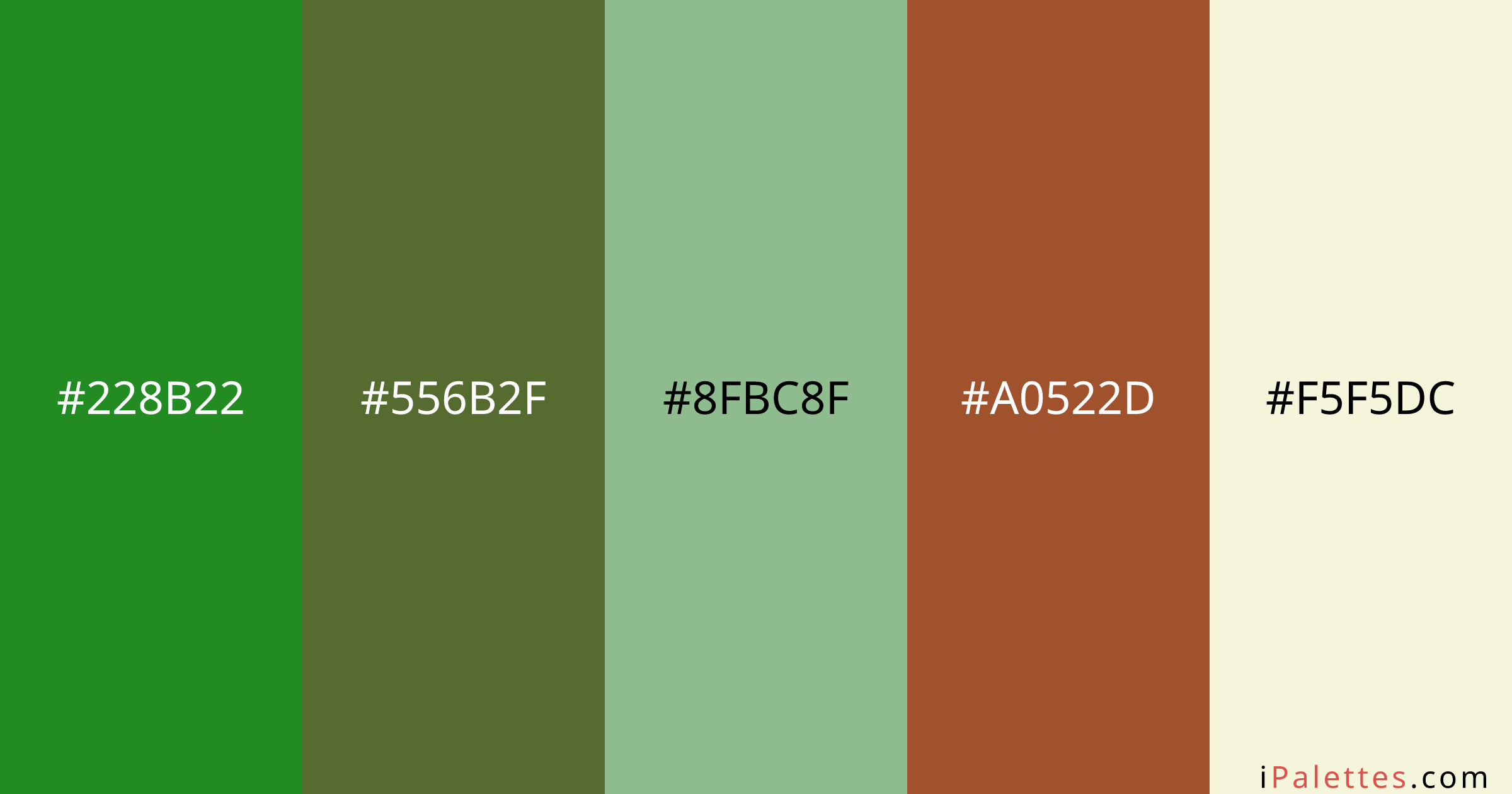 Forest Color Palette and colors #228B22 #556B2F #8FBC8F #A0522D #F5F5DC ...