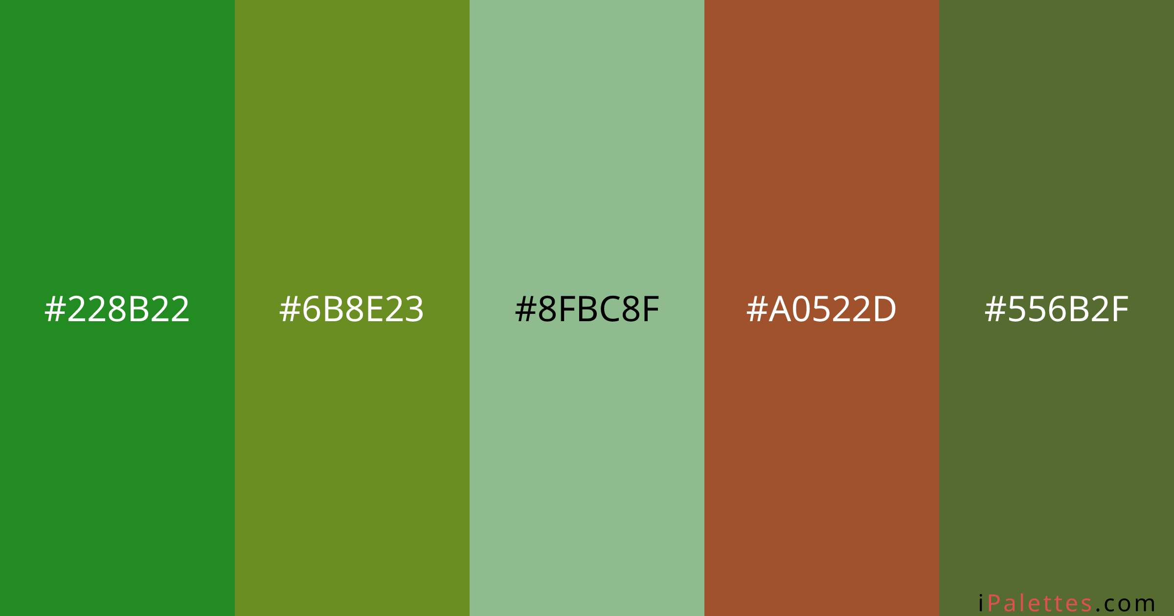 Forest Color Palette and colors #228B22 #6B8E23 #8FBC8F #A0522D #556B2F ...