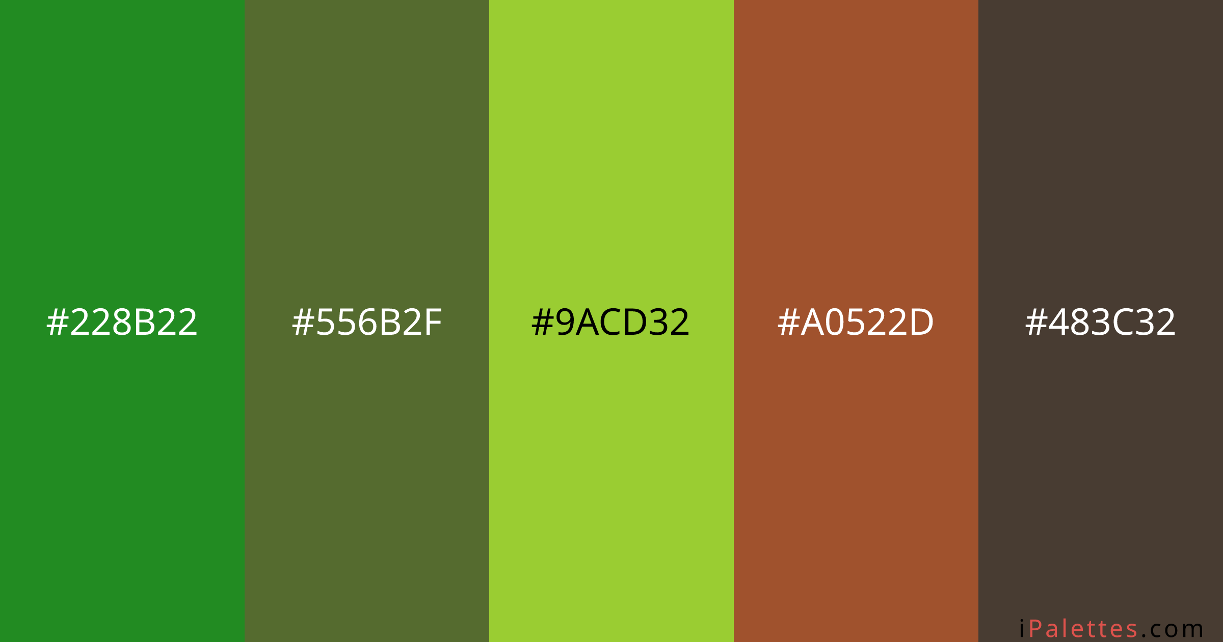 Forest Color Palette and colors #228b22 #556b2f #9acd32 #a0522d #483c32 ...