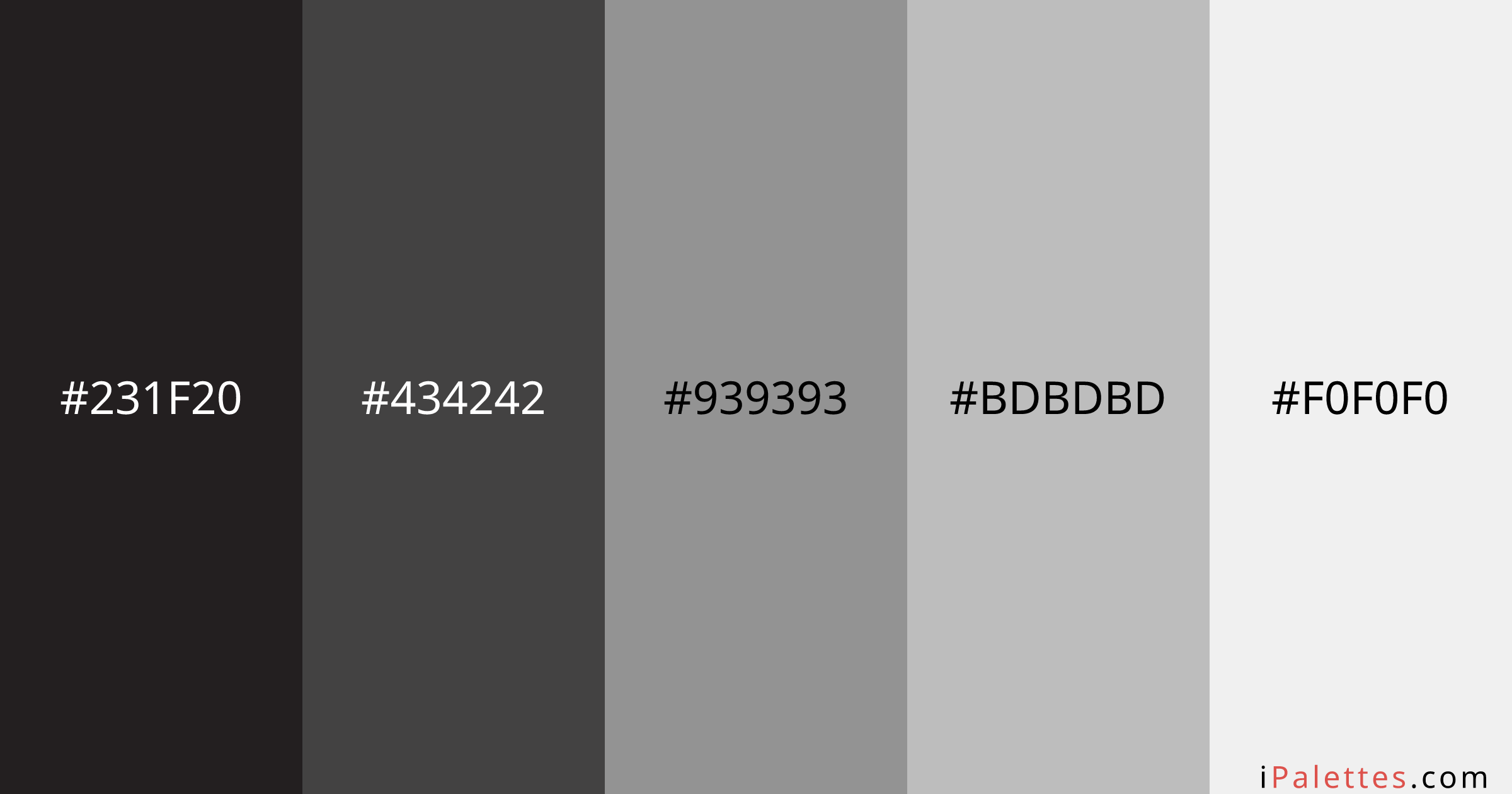 Squarespace Color Palette and colors #231F20 #434242 #939393 #BDBDBD # ...