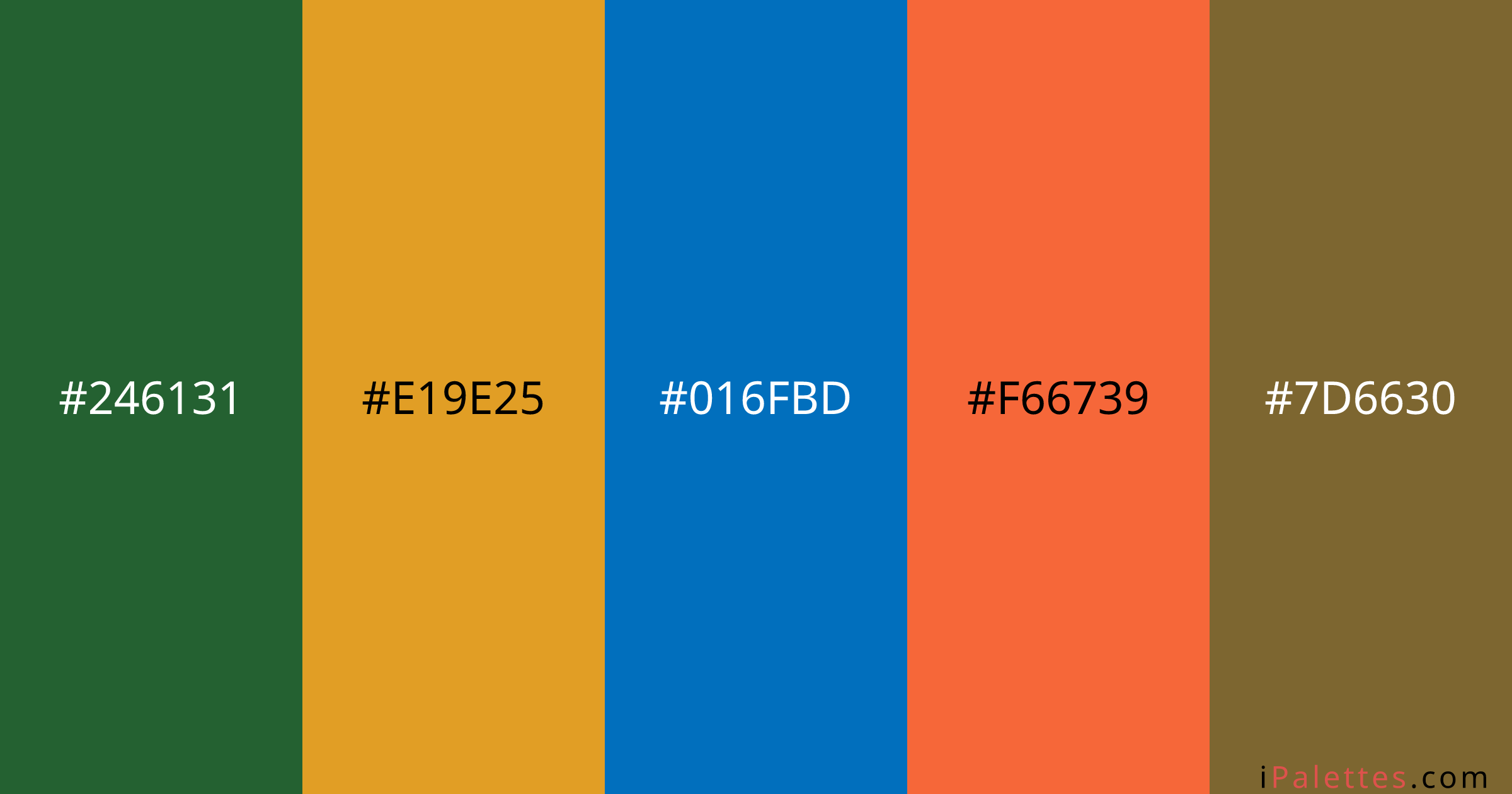 Runescape Color Palette and colors #246131 #e19e25 #016fbd #f66739 ...