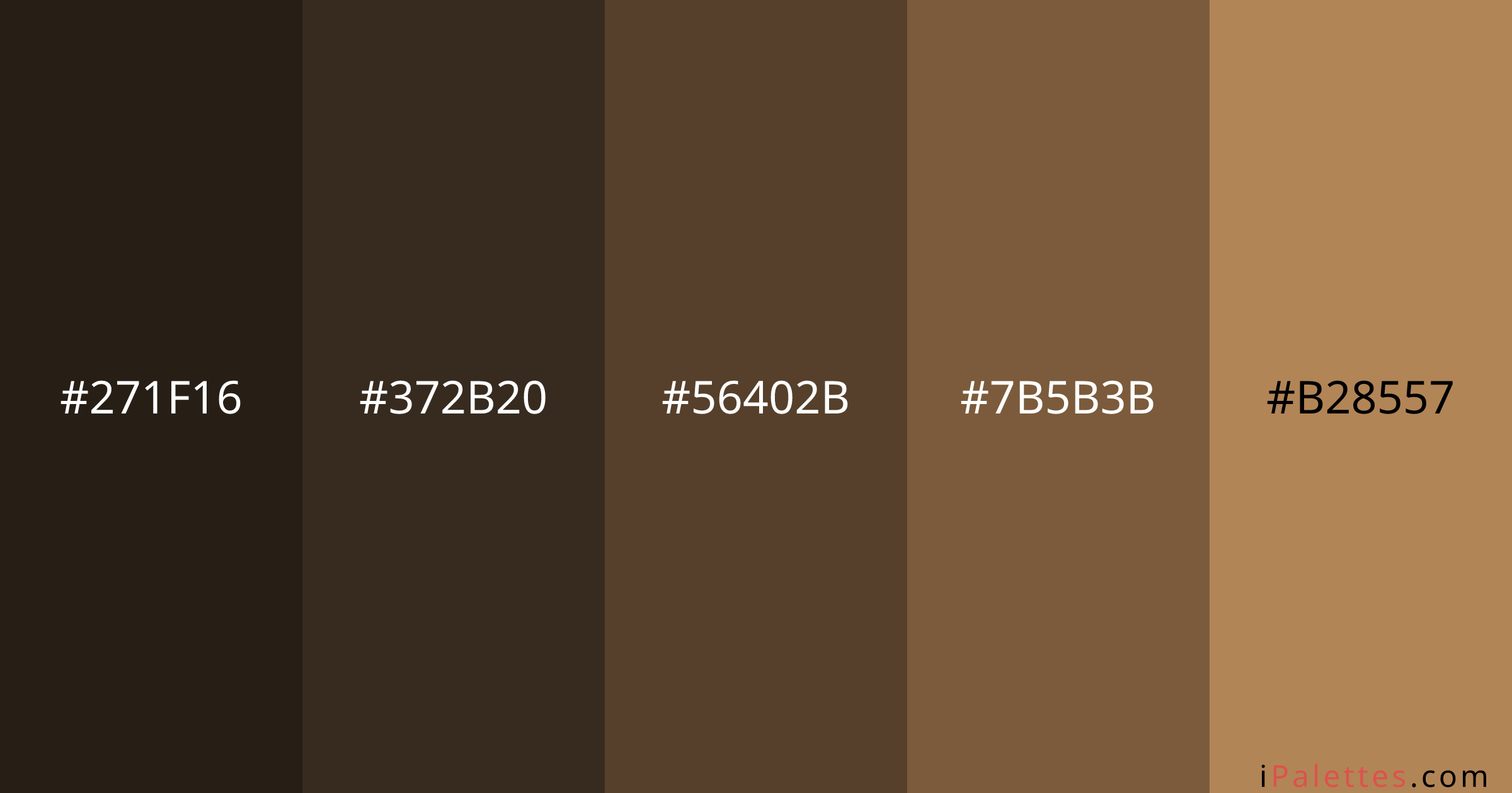 Baroque Color Palette and colors #271F16 #372B20 #56402B #7B5B3B # ...