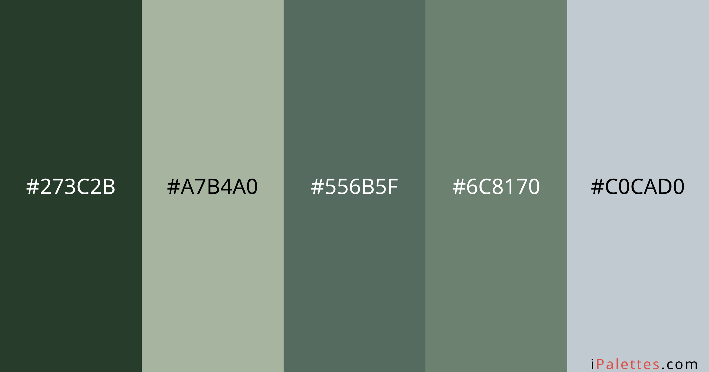 Pine Color Palette and colors #273c2b #a7b4a0 #556b5f #6c8170 #c0cad0 ...