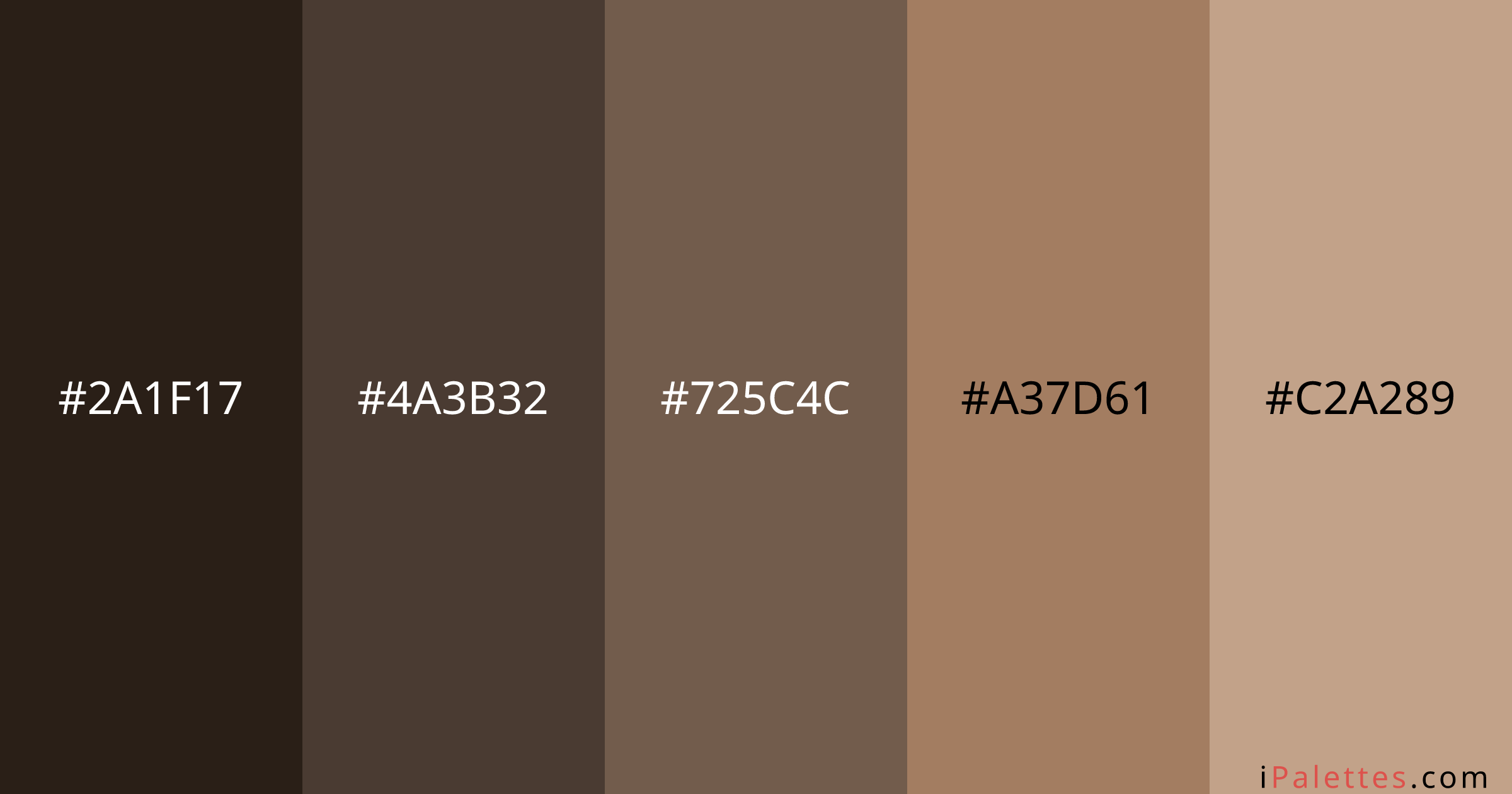 Double dungeon Color Palette and colors #2A1F17 #4A3B32 #725C4C #A37D61 ...