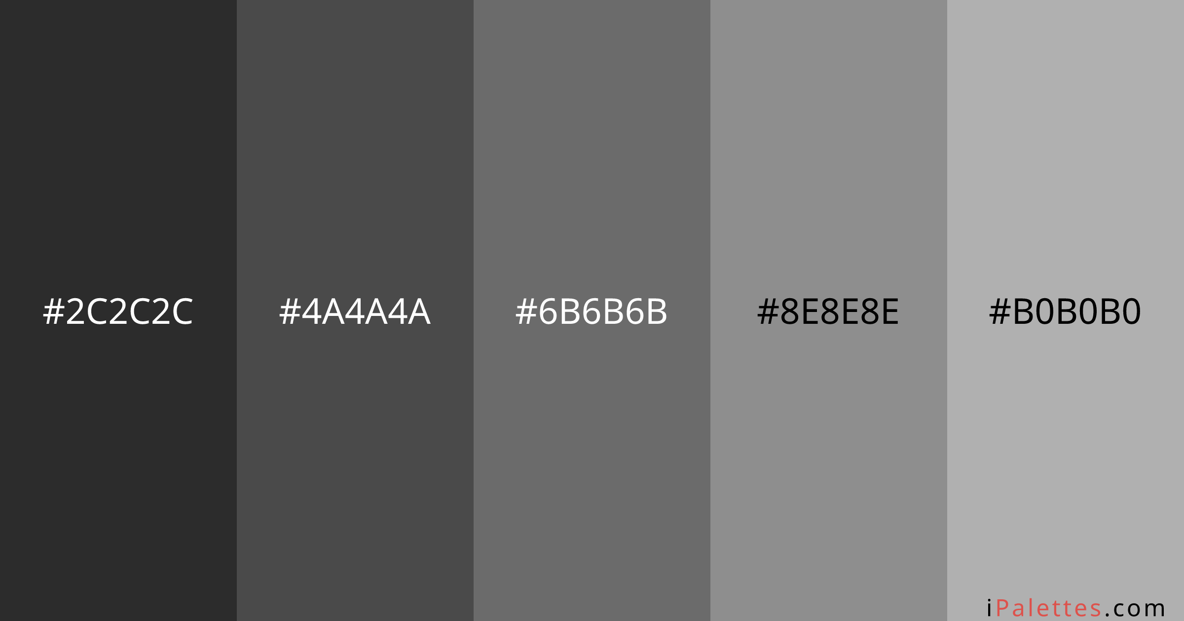 Dark academia Color Palette and colors #2C2C2C #4A4A4A #6B6B6B #8E8E8E ...