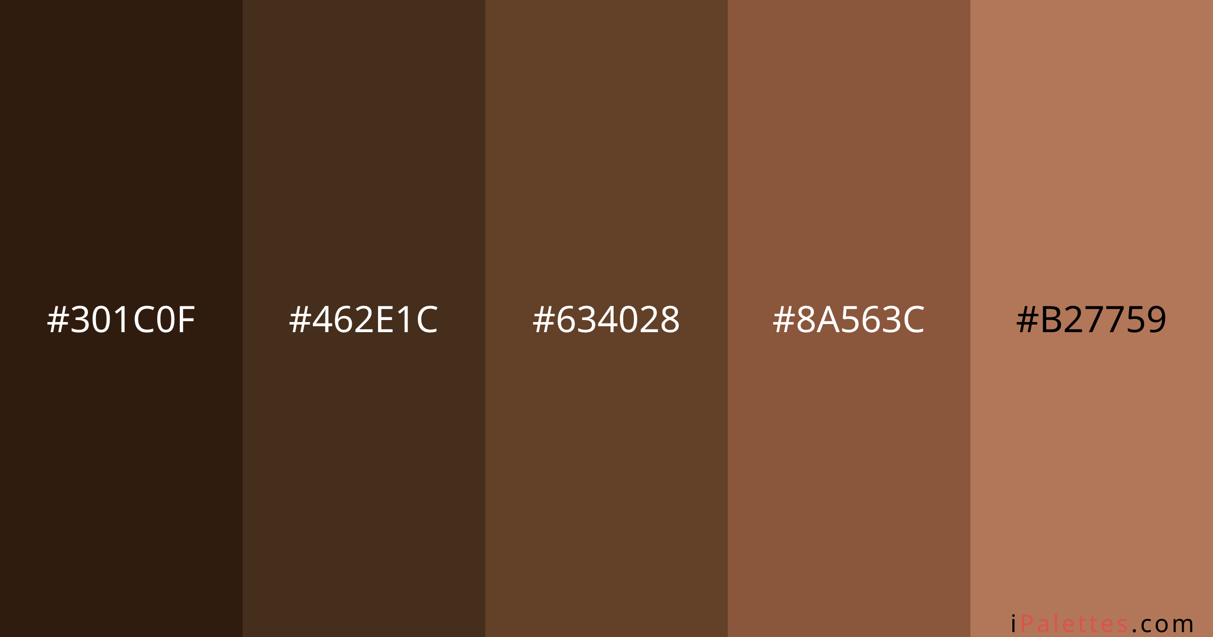 Black skin Color Palette and colors #301C0F #462E1C #634028 #8A563C # ...