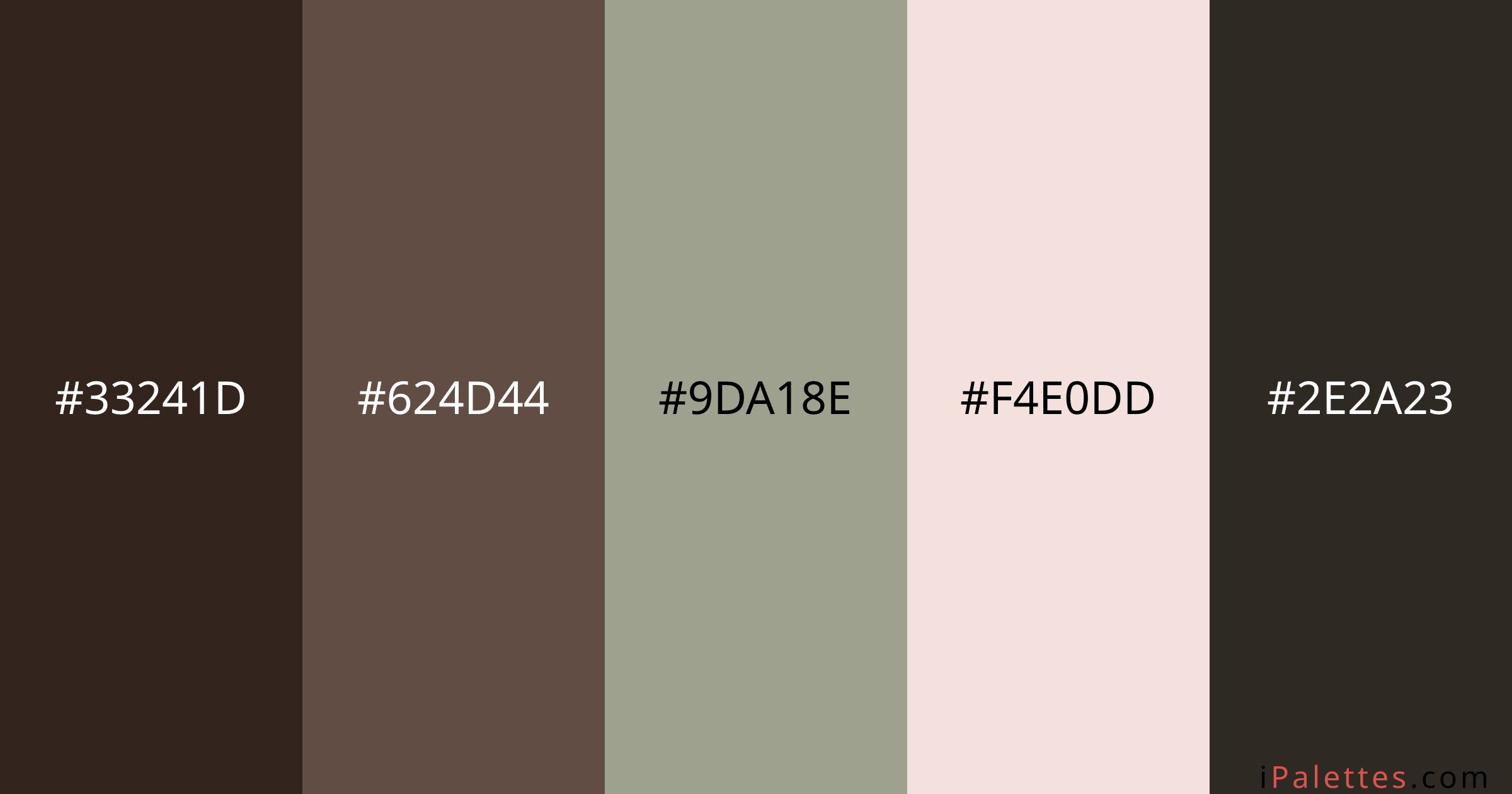 Hiroshi Kai Color Palette and colors #33241d #624d44 #9da18e #f4e0dd ...