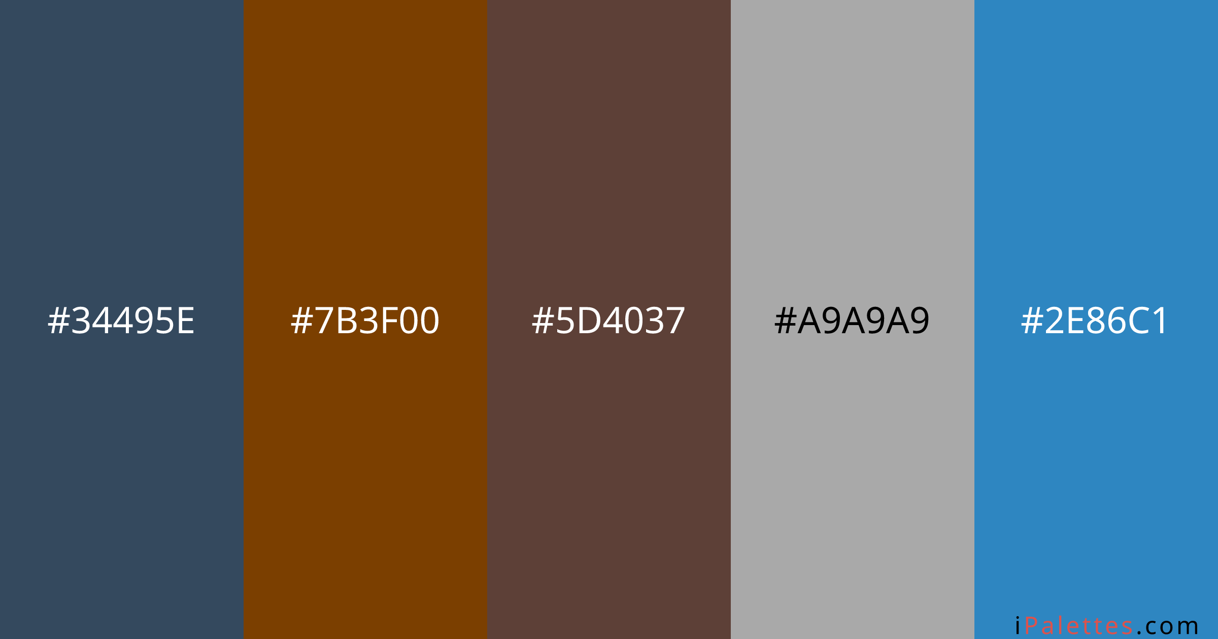 Father Color Palette and colors #34495e #7b3f00 #5d4037 #a9a9a9 #2e86c1 ...
