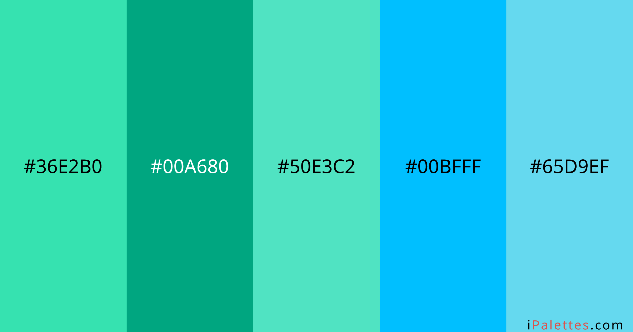 36e2b0 Color Palette and colors #36e2b0 #00a680 #50e3c2 #00bfff #65d9ef ...