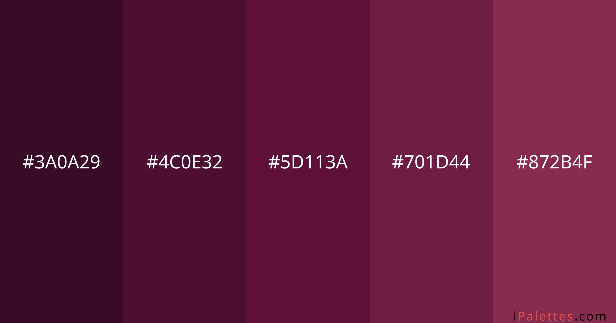 Fig Color Palette and colors #3A0A29 #4C0E32 #5D113A #701D44 #872B4F ...