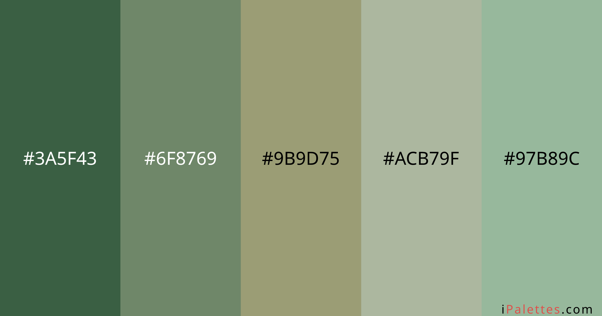 Botanical Fade Color Palette and colors #3A5F43 #6F8769 #9B9D75 #ACB79F ...
