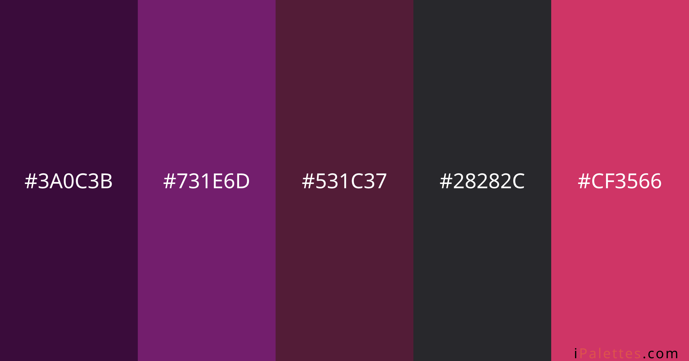 Dark gothic academia Color Palette and colors #3a0c3b #731e6d #531c37 ...