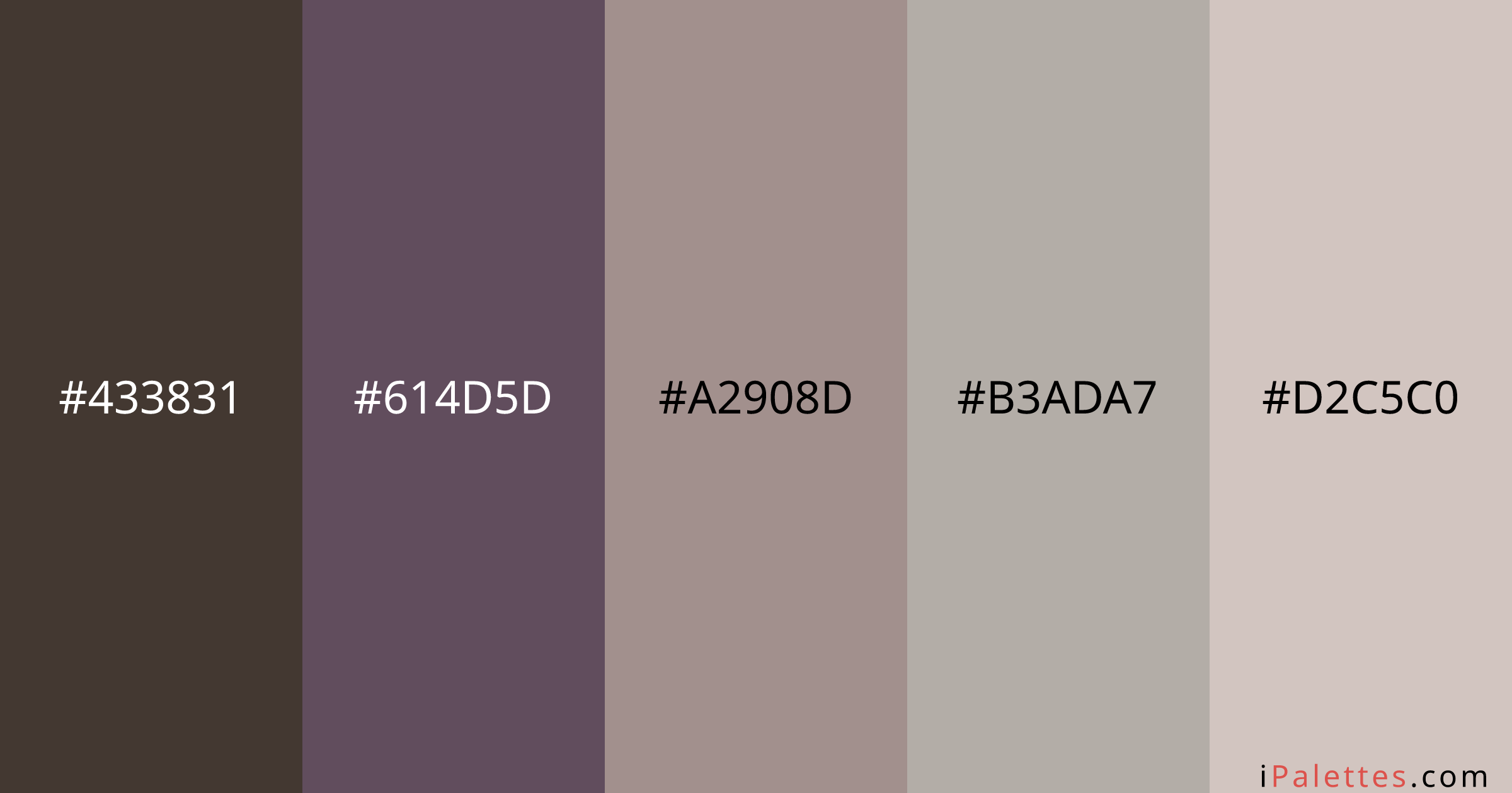 Quality Color Palette and colors #433831 #614d5d #a2908d #b3ada7 # ...