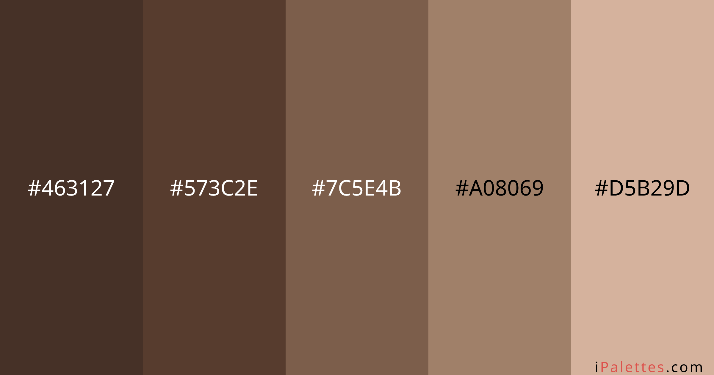 Coffee Color Palette and colors #463127 #573C2E #7C5E4B #A08069 #D5B29D ...