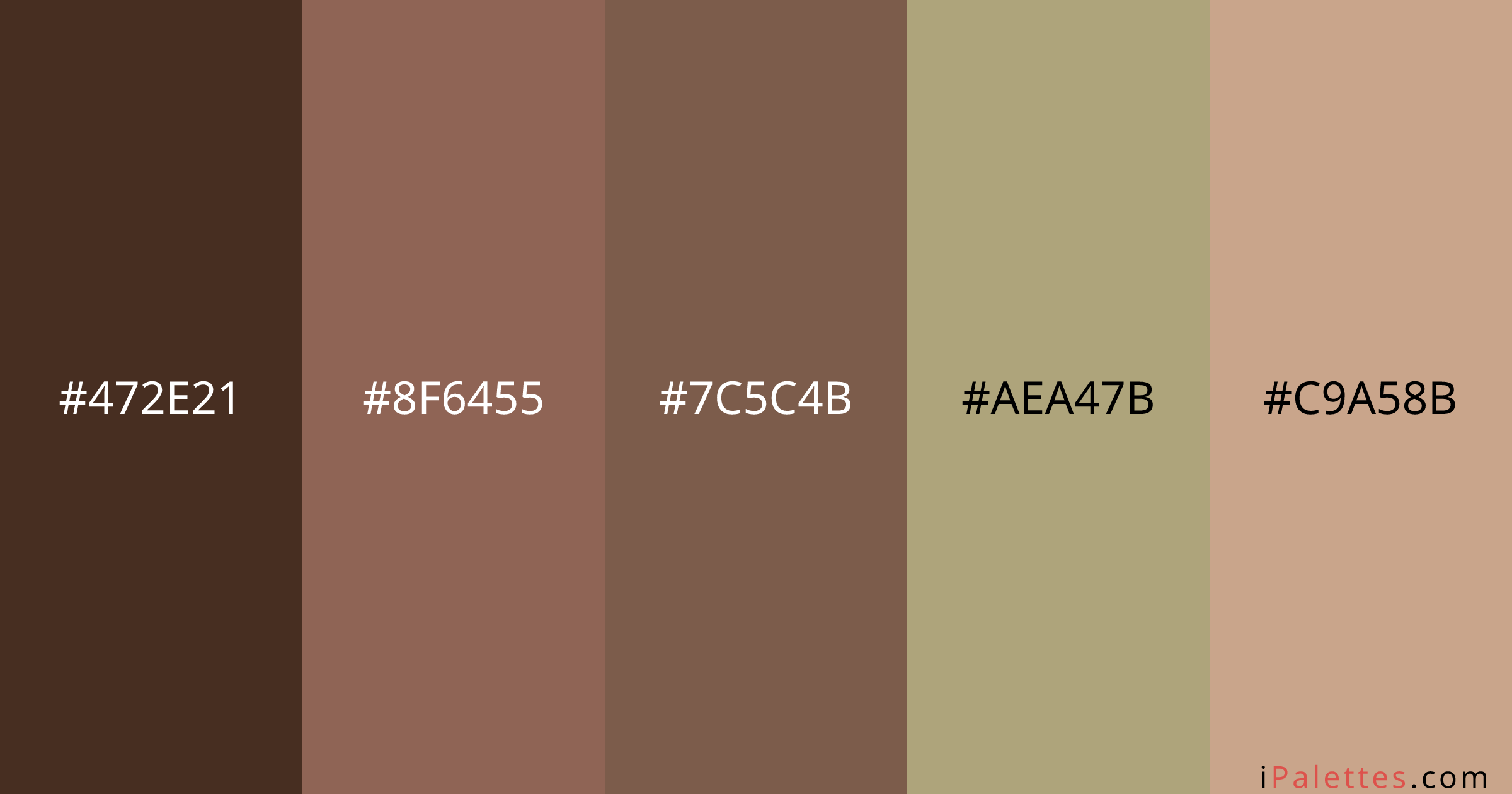Dark Cottage Core Color Palette and colors #472e21 #8f6455 #7c5c4b # ...