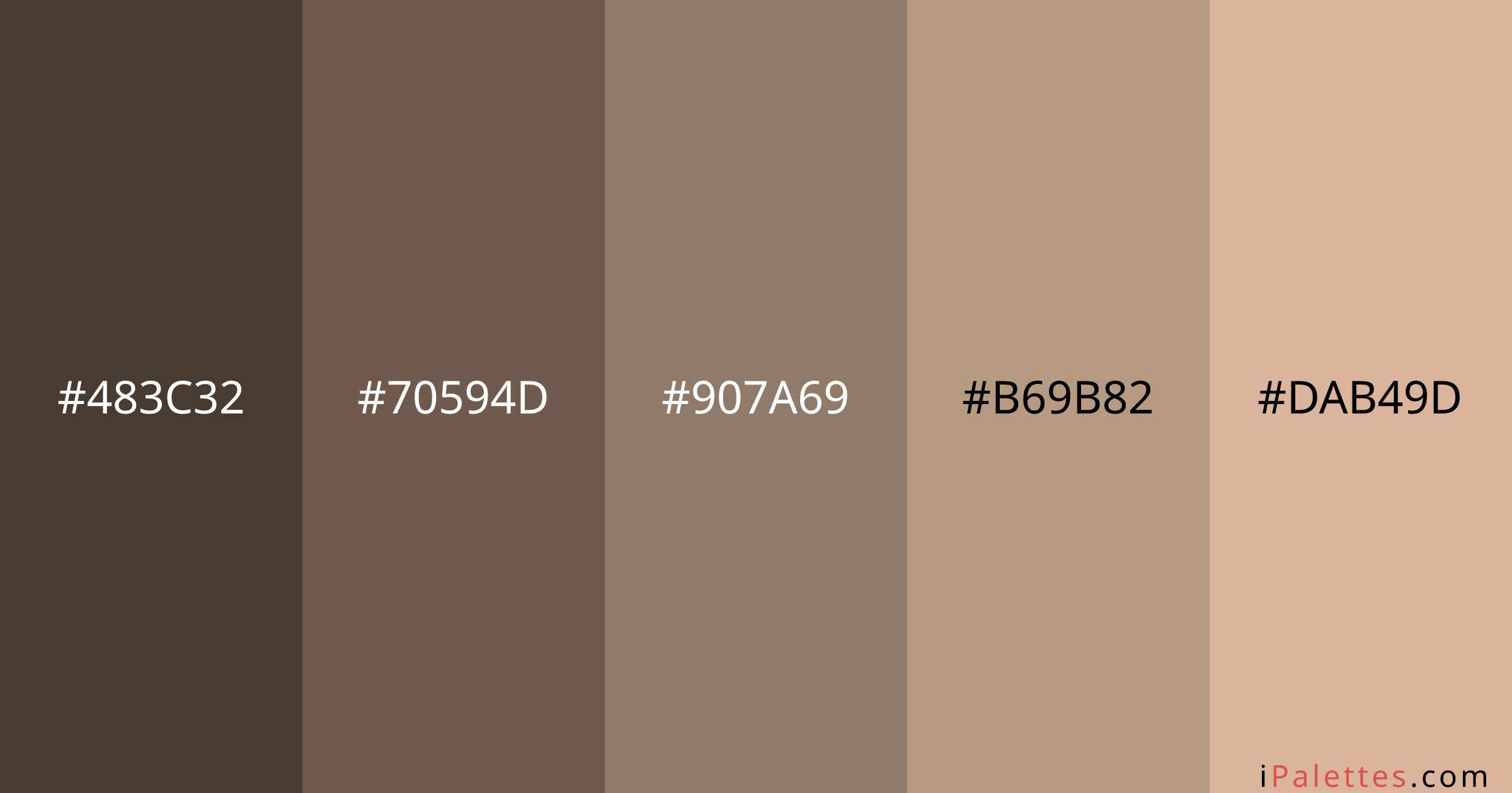 Coffee Shop Color Palette and colors #483C32 #70594D #907A69 #B69B82 # ...