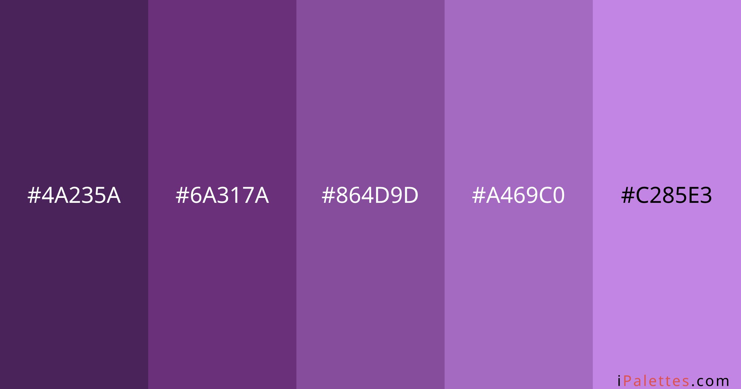 Boysen Color Palette and colors #4A235A #6A317A #864D9D #A469C0 #C285E3 ...