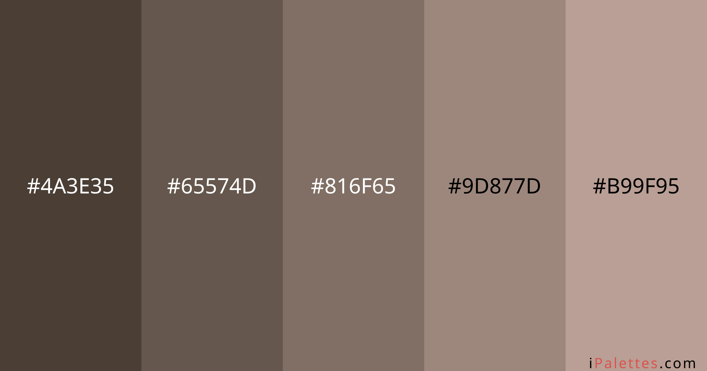 Mountain Hiking Color Palette and colors #4A3E35 #65574D #816F65 ...