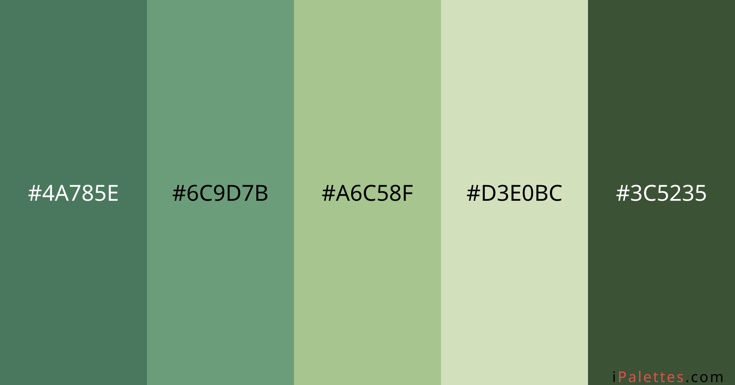 Forest Color Palette and colors #4A785E #6C9D7B #A6C58F #D3E0BC #3C5235 ...
