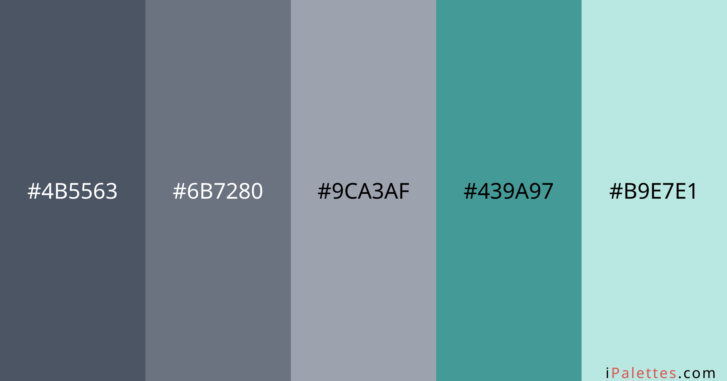 Grey and teal Color Palette and colors #4B5563 #6B7280 #9CA3AF #439A97 ...