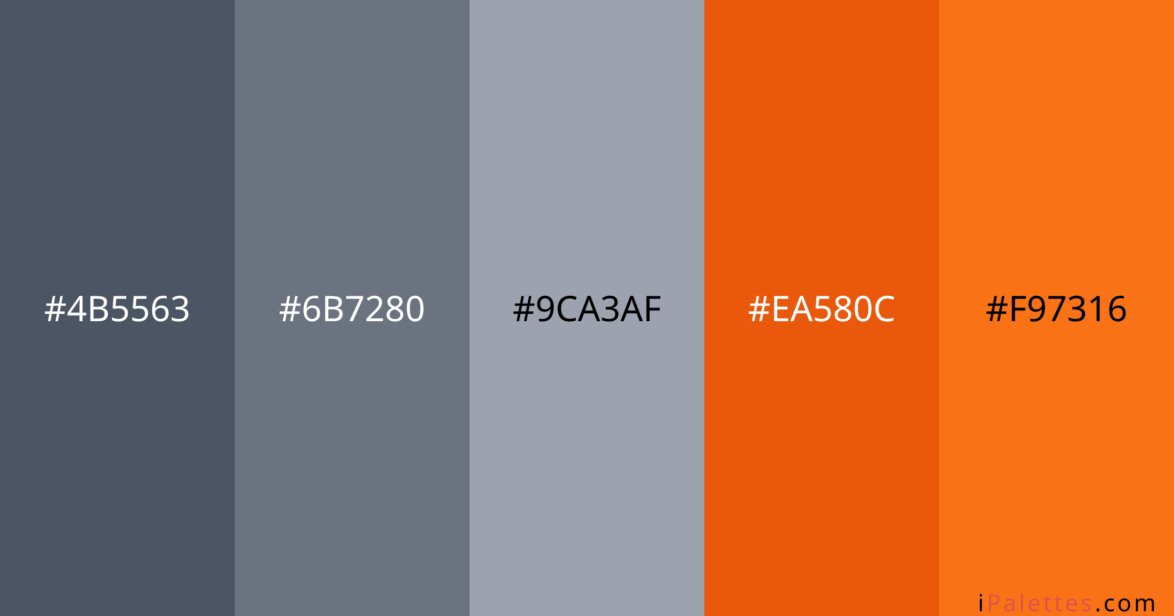 Gray orange Color Palette and colors #4B5563 #6B7280 #9CA3AF #EA580C # ...