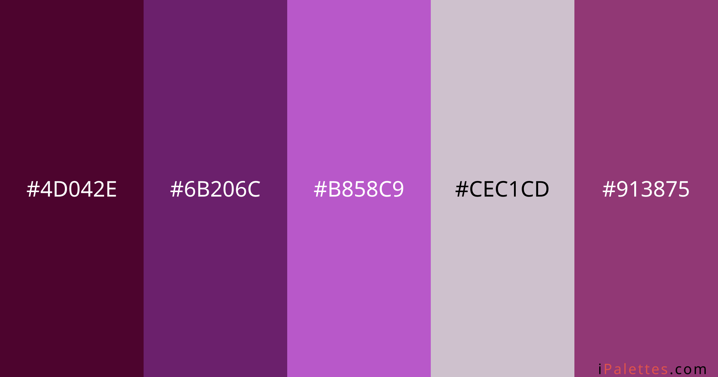 Mysterious Elegance Color Palette and colors #4d042e #6b206c #b858c9 # ...